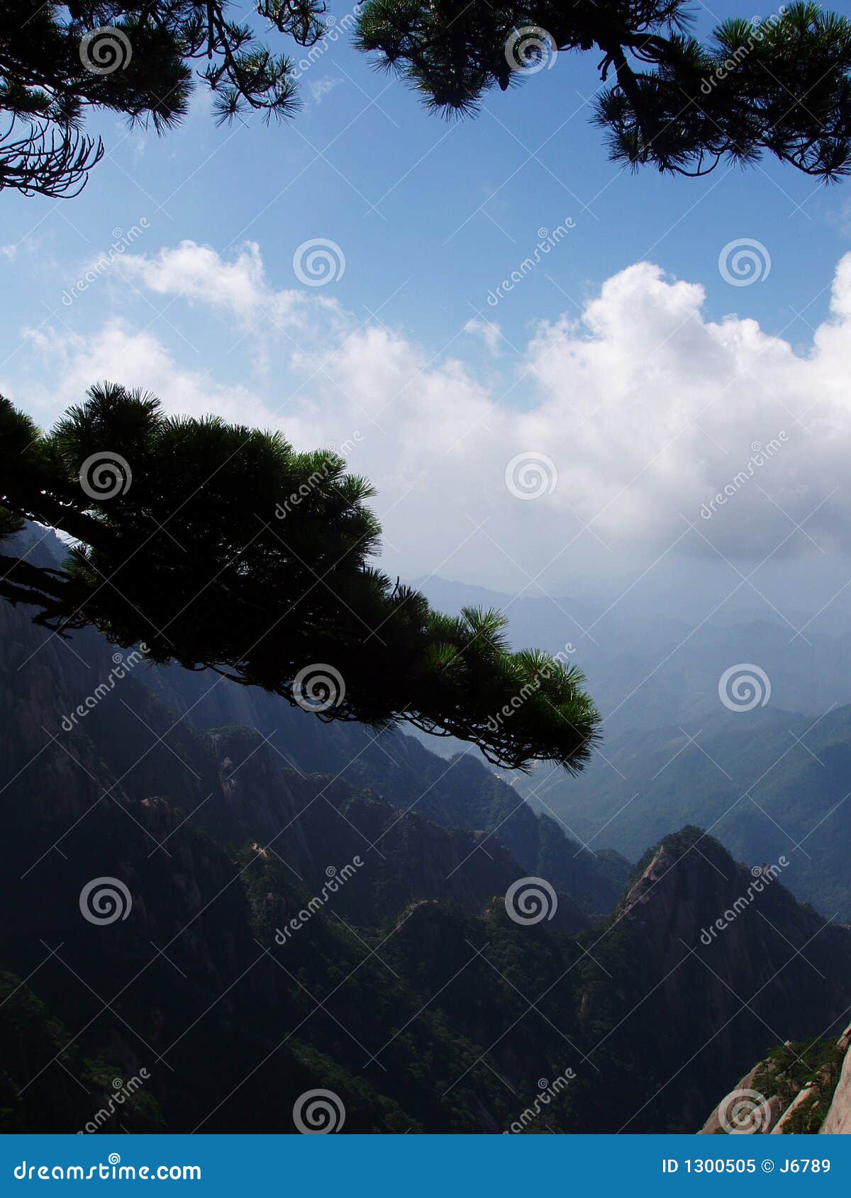 The Pine at Huangshan in China Stock Image - Image of mountains, asia ...