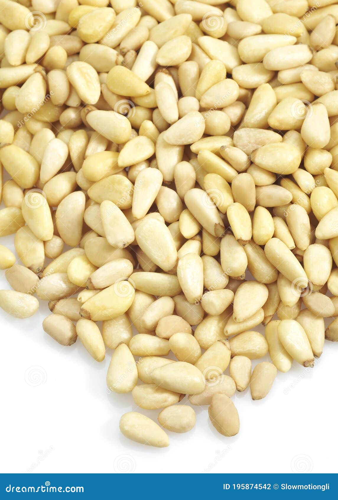 Pine Kernel or Pine Nut, Pinus Sp., Fruits Against White Background ...