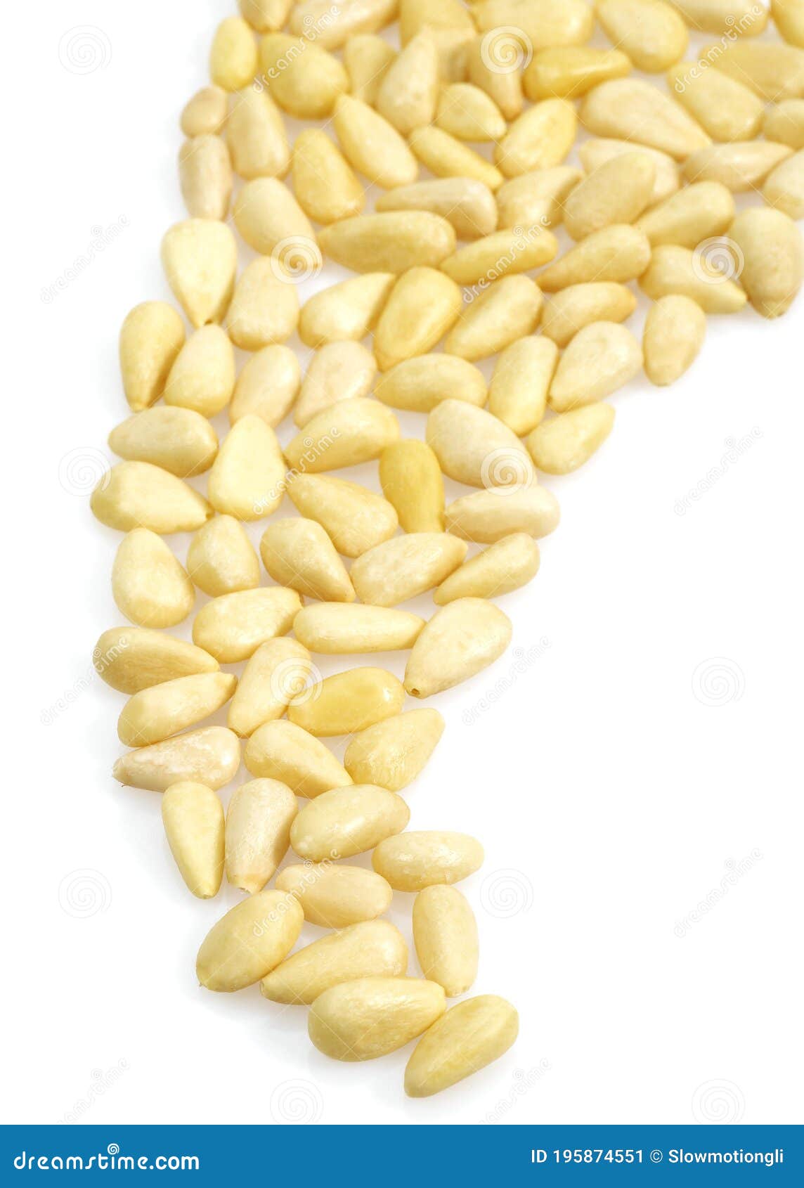 Pine Kernel or Pine Nut, Pinus Sp., Fruits Against White Background ...