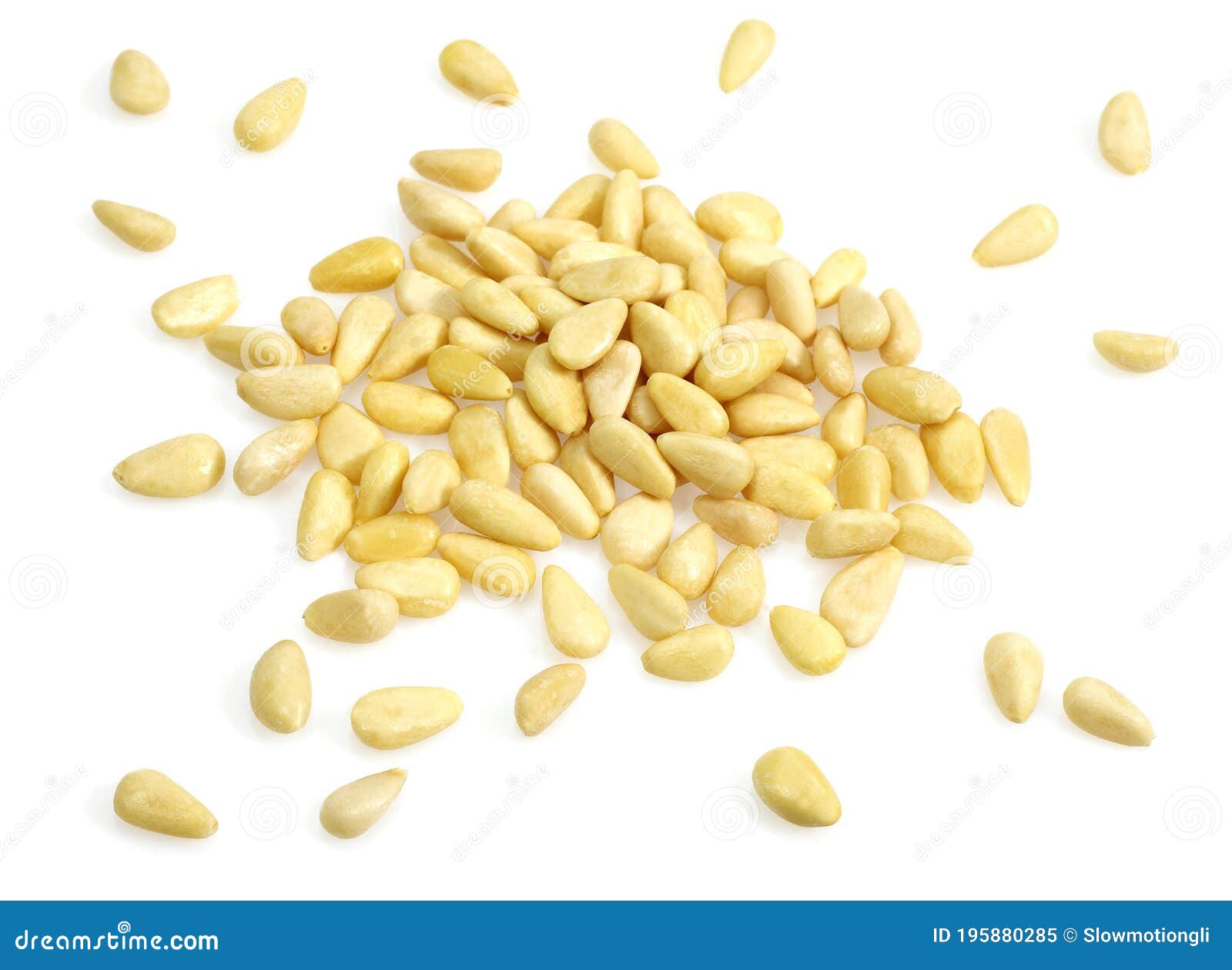 Pine Kernel or Pine Nut, Pinus Sp, Nuts Against White Background Stock ...