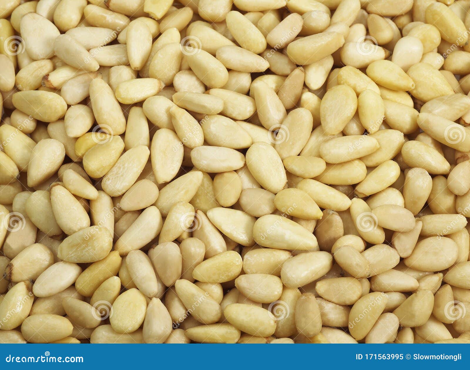 PIGNON DE PIN stock image. Image of botany, ingredient - 171563995