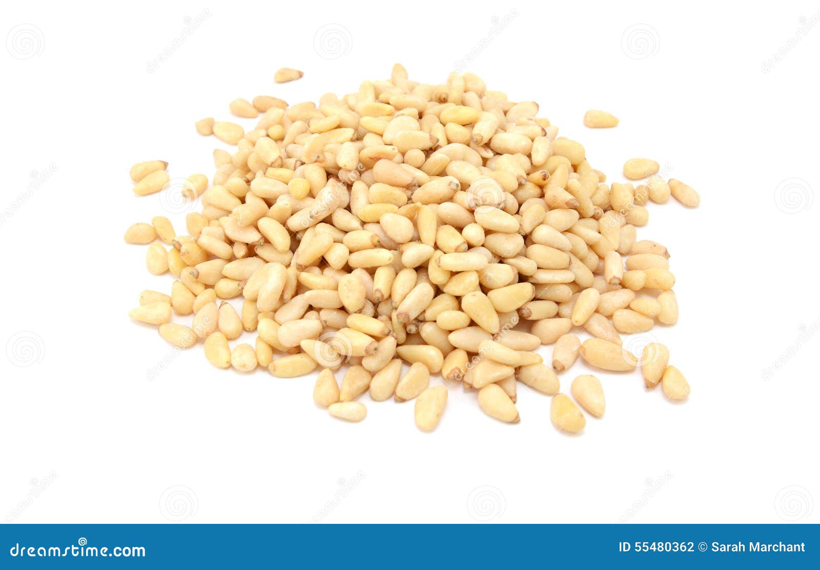 Pine kernels stock photo. Image of kernel, healthy, background - 55480362
