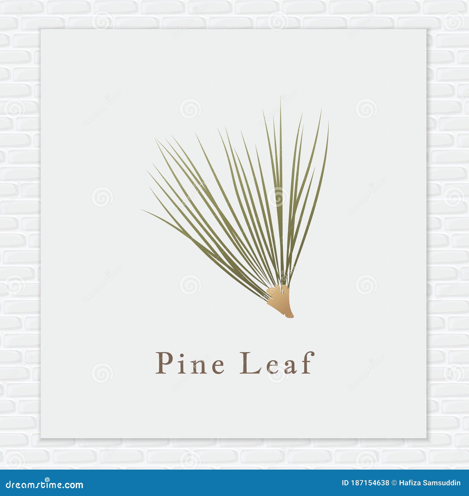 Pine Leaf. Vector Illustration Decorative Design Stock Vector ...
