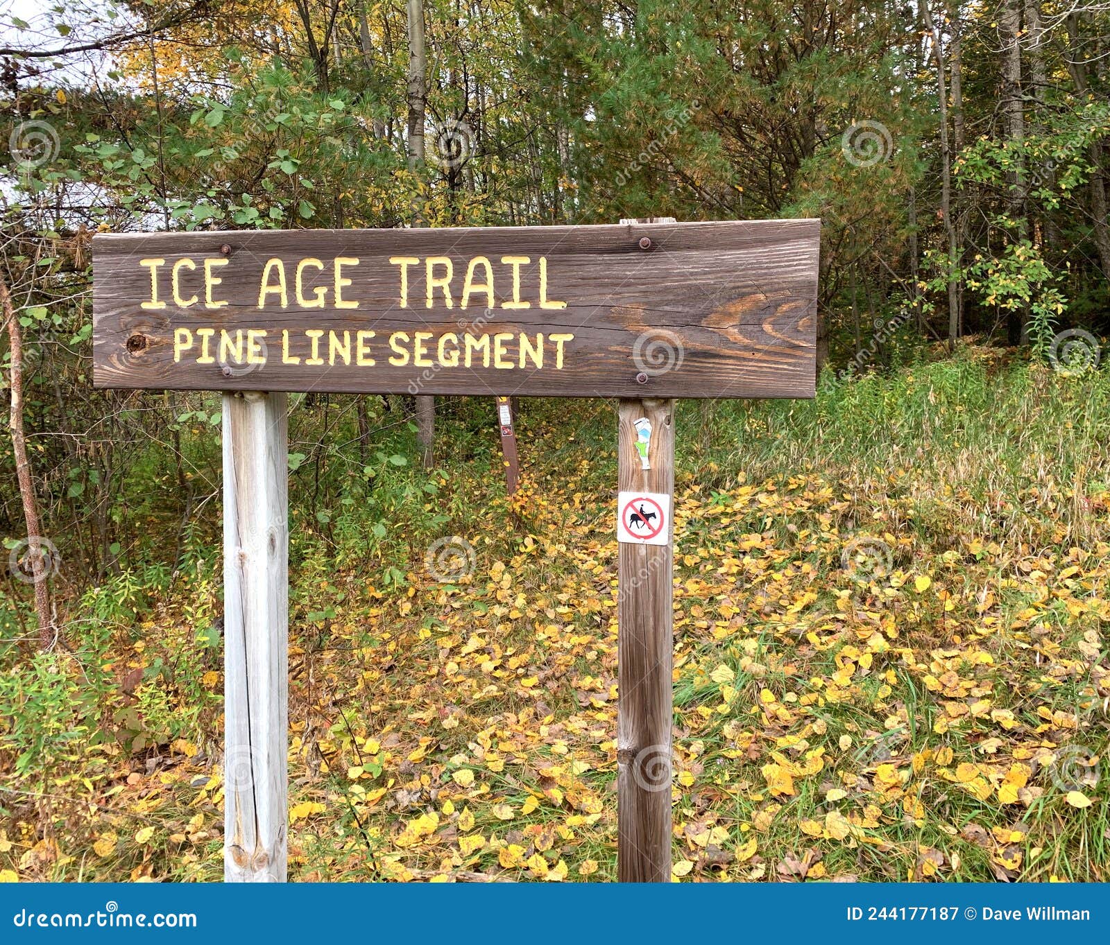 Pine Line Segment sign stock image. Image of tourism - 244177187