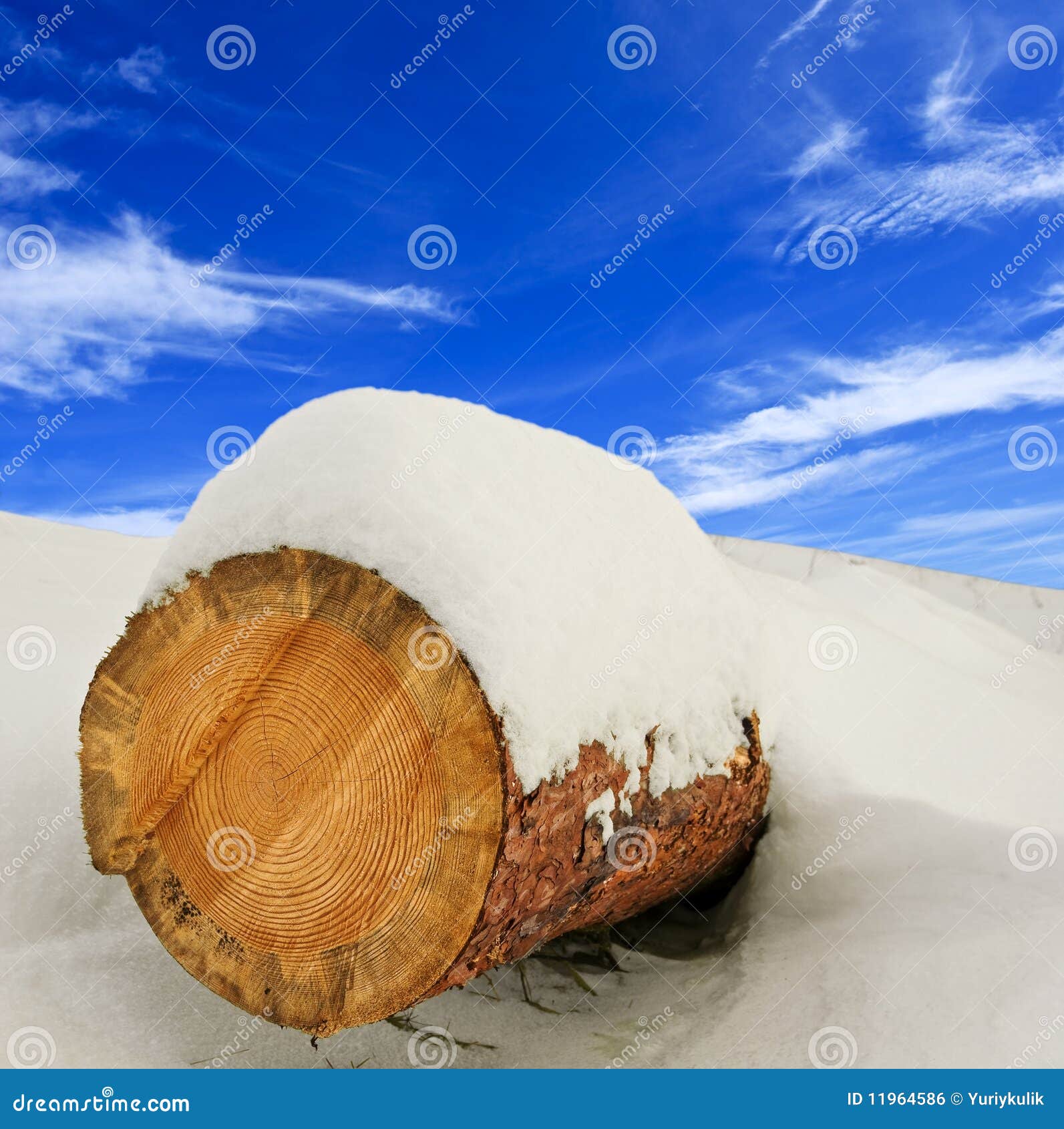 Pine log in a snow stock photo. Image of cover, cloudy - 11964586