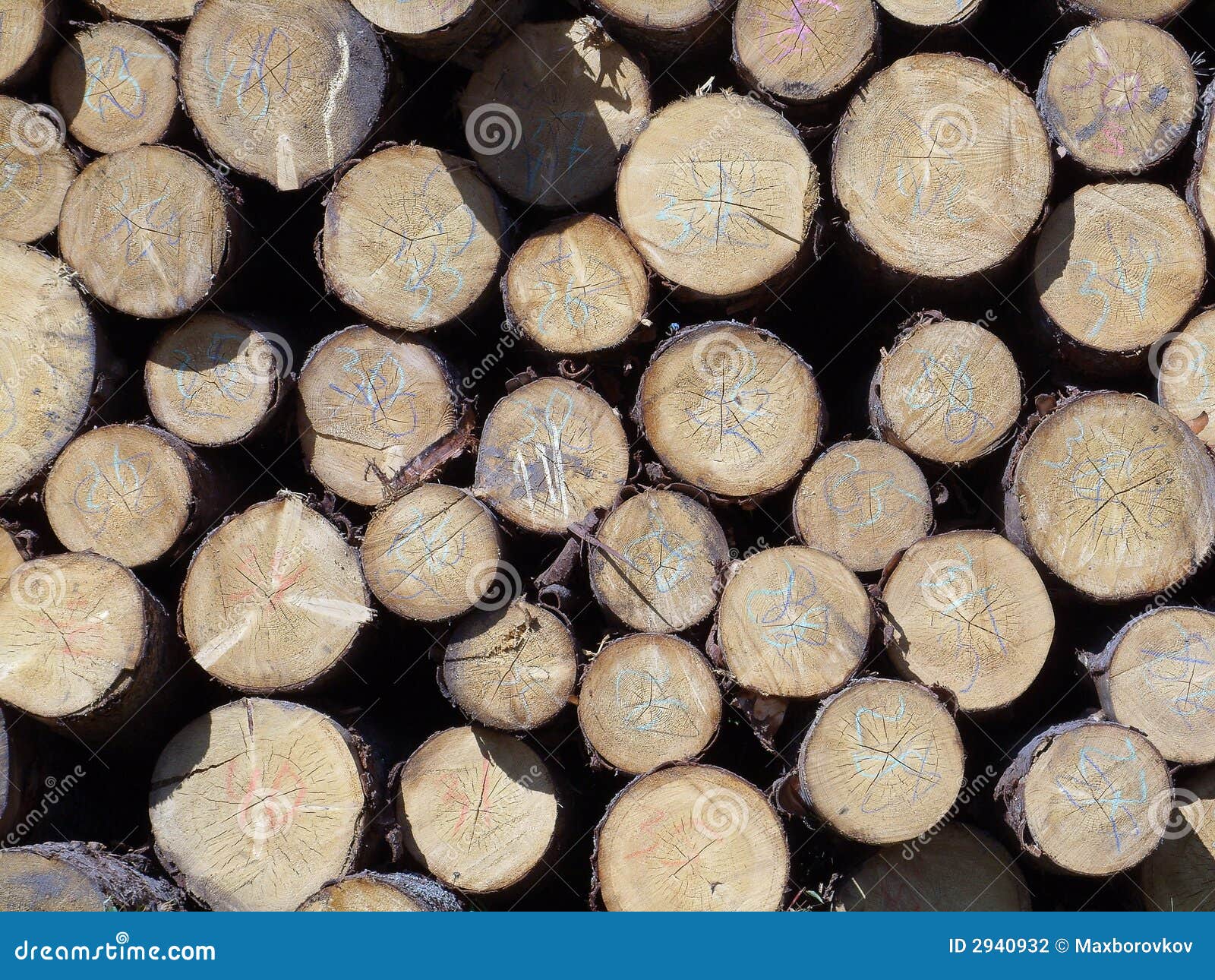 Pine logs stock photo. Image of environmental, industry - 2940932
