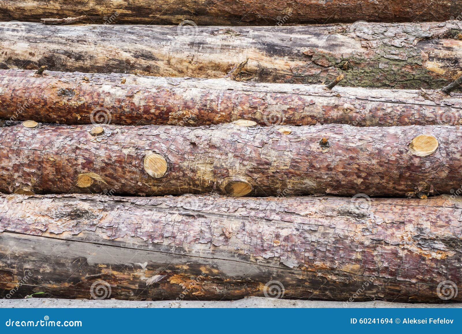 Pine logs. stock photo. Image of cladding, house, chop - 60241694