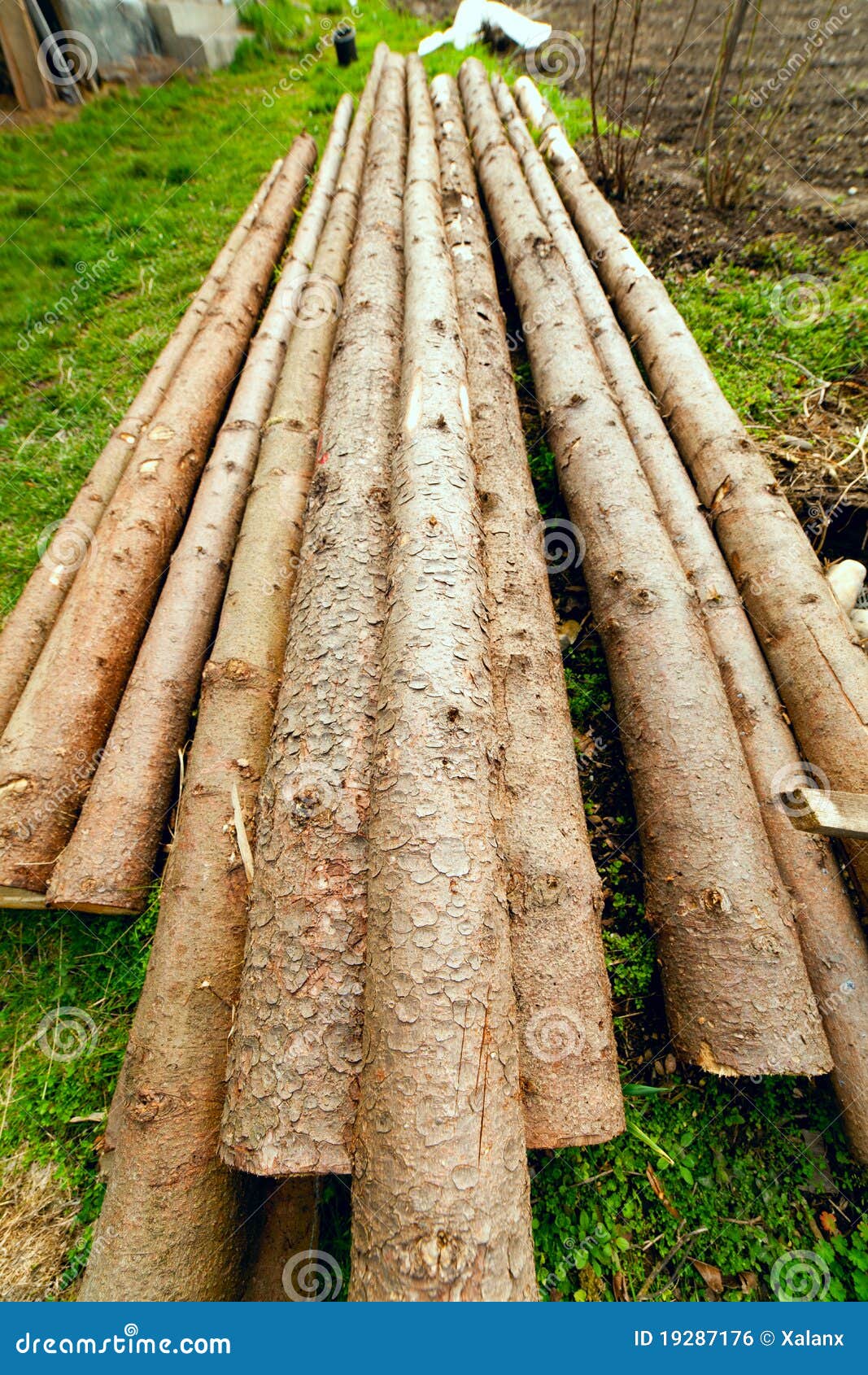 Pine logs on grass stock photo. Image of pine, farm, green - 19287176