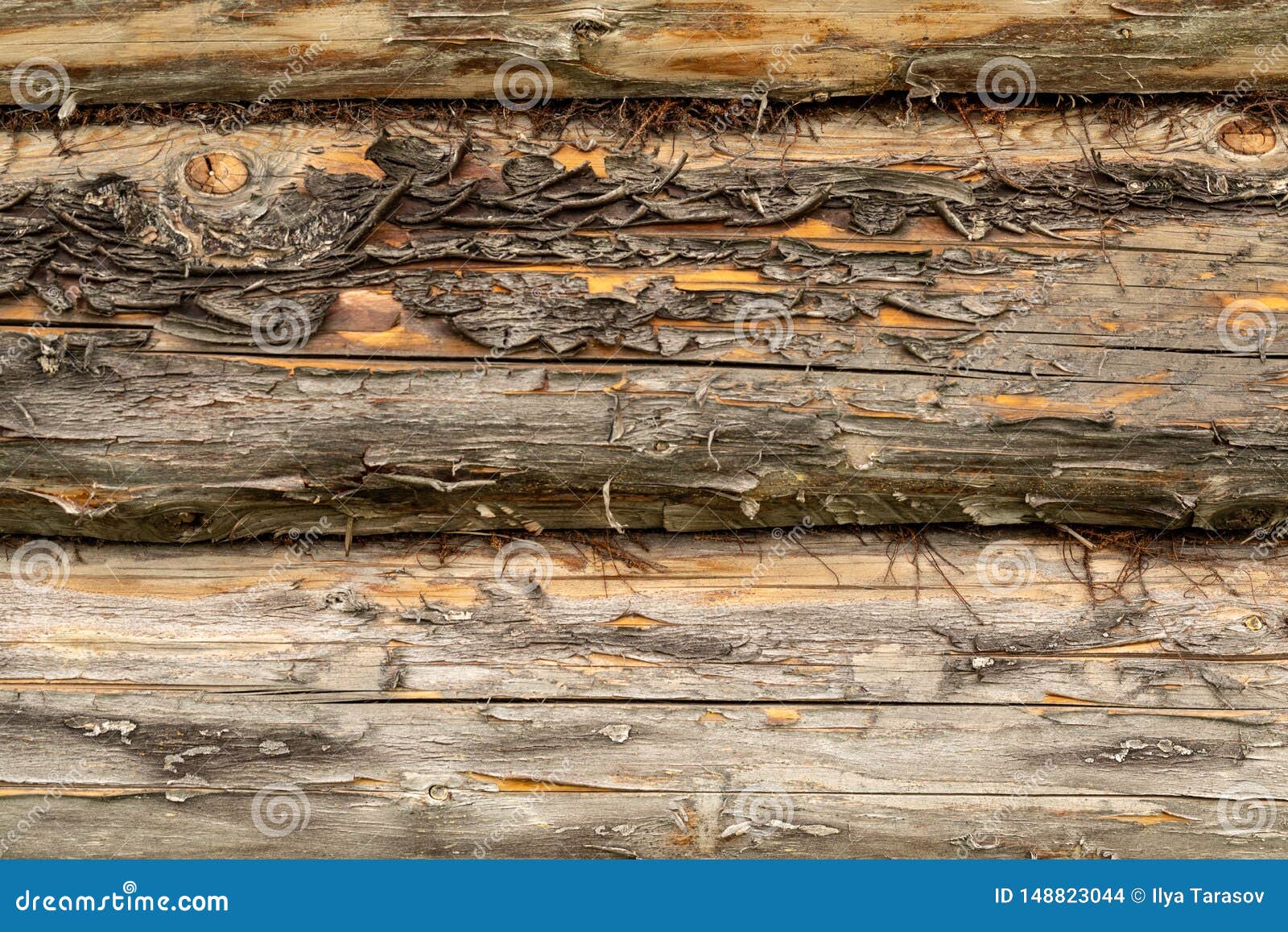 Pine Logs. Log Wall Texture of Natural Pine Logs Stock Photo - Image of ...