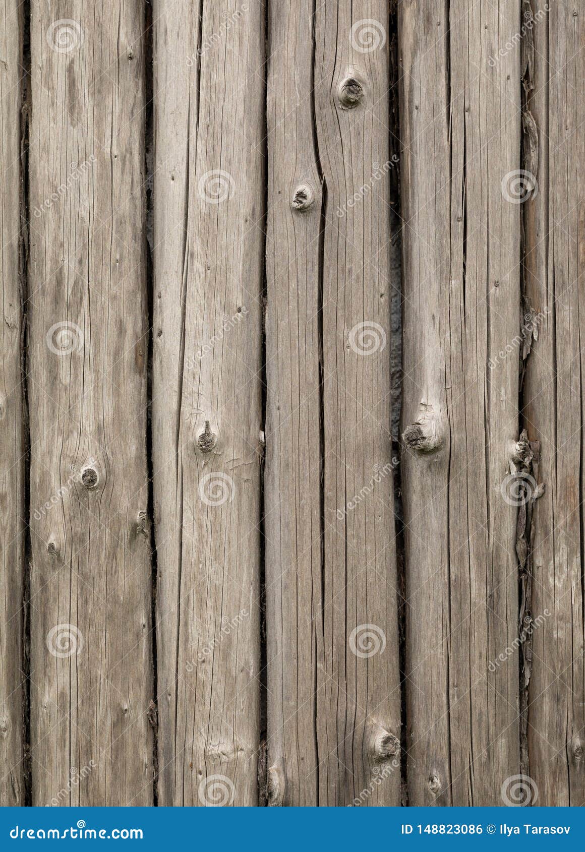 Pine Logs. Log Wall Texture of Natural Pine Logs Stock Photo - Image of ...