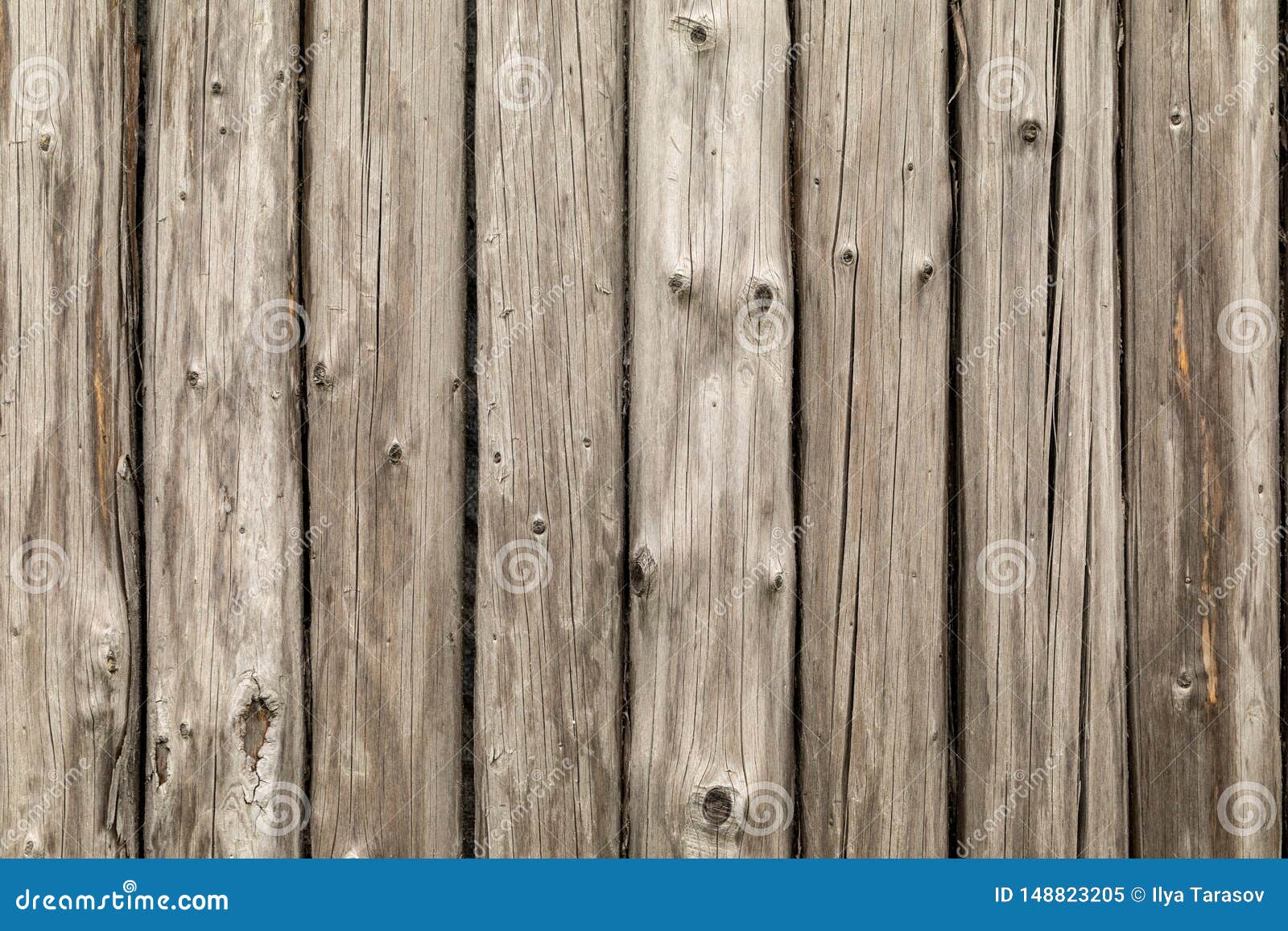 Pine Logs. Log Wall Texture of Natural Pine Logs Stock Image - Image of ...