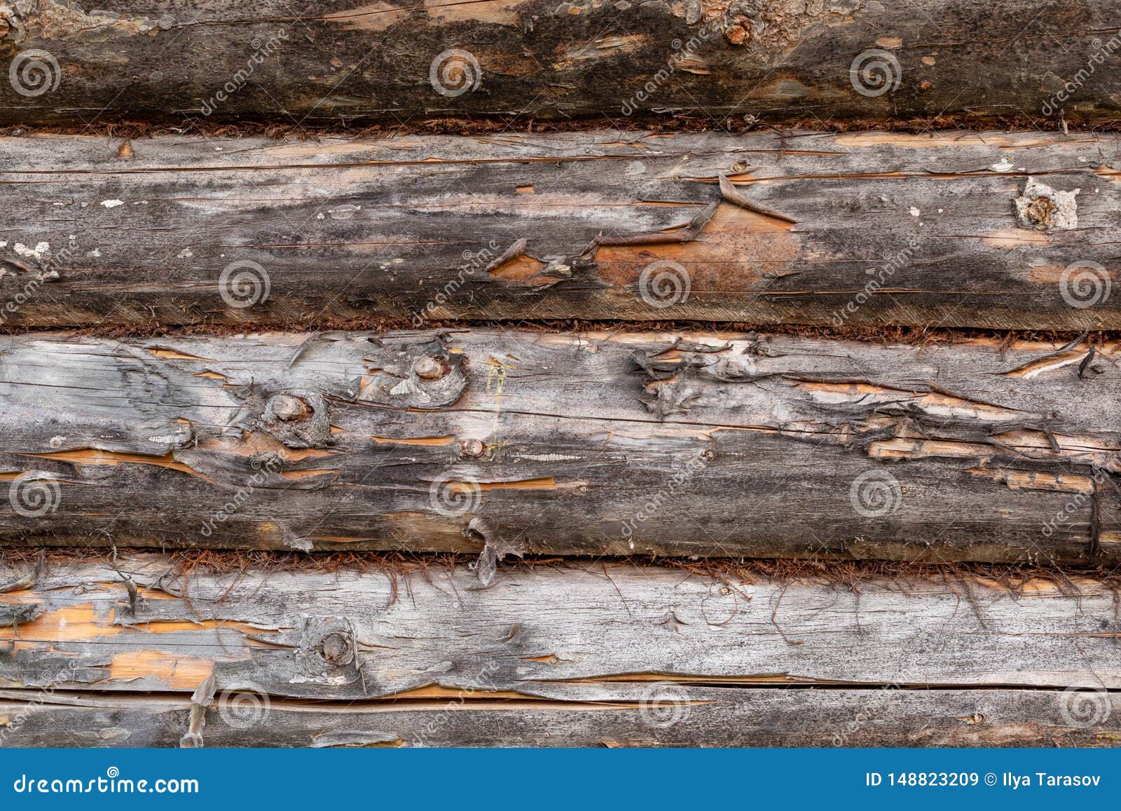 Pine Logs. Log Wall Texture of Natural Pine Logs Stock Image - Image of ...