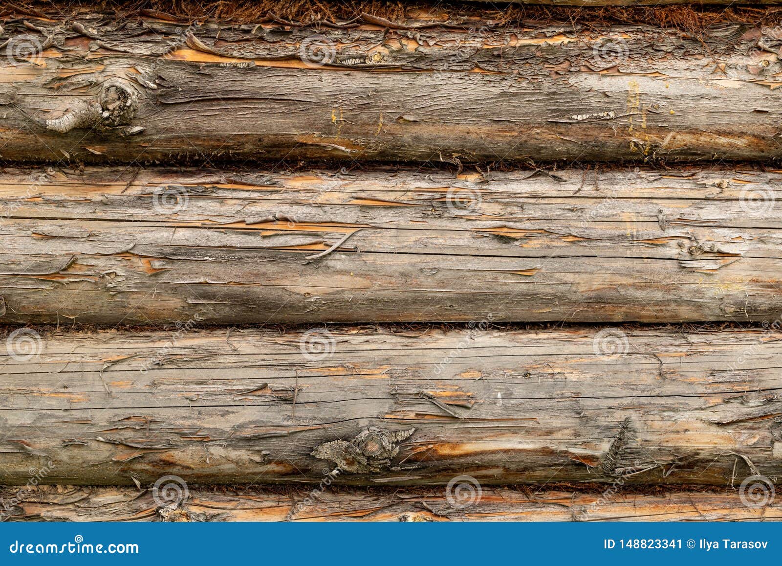 Pine Logs. Log Wall Texture of Natural Pine Logs Stock Image - Image of ...