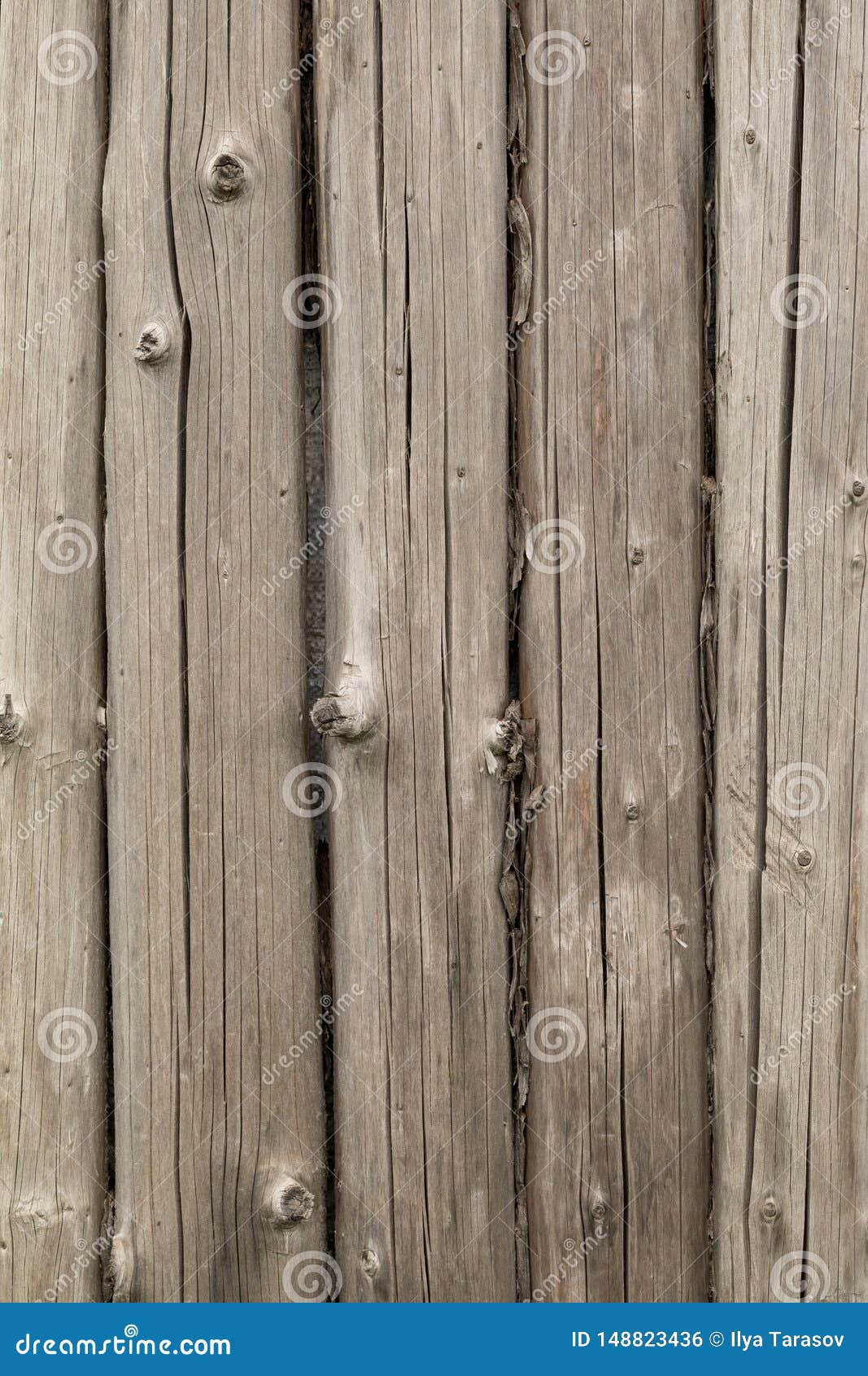Pine Logs. Log Wall Texture of Natural Pine Logs Stock Photo - Image of ...