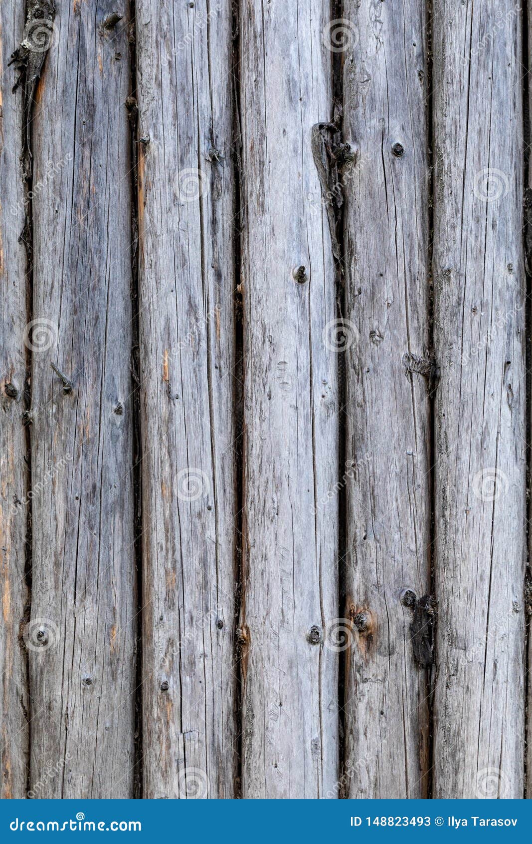 Pine Logs. Log Wall Texture of Natural Pine Logs Stock Image - Image of ...