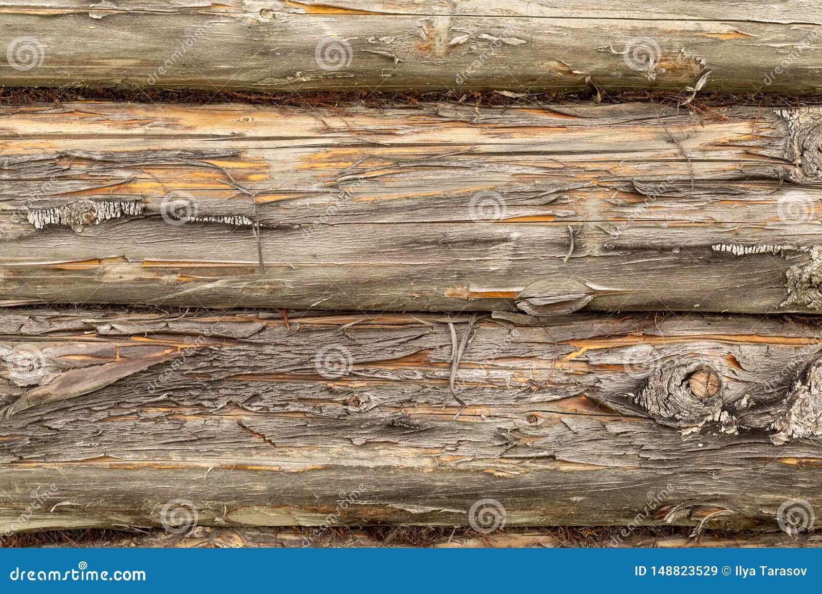 Pine Logs. Log Wall Texture of Natural Pine Logs Stock Image - Image of ...