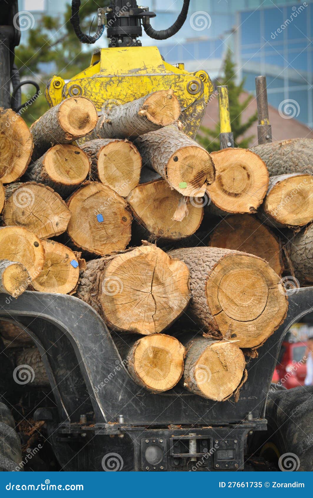 Pine Logs Logging Timber Trailer Stock Image - Image of blue, pine ...