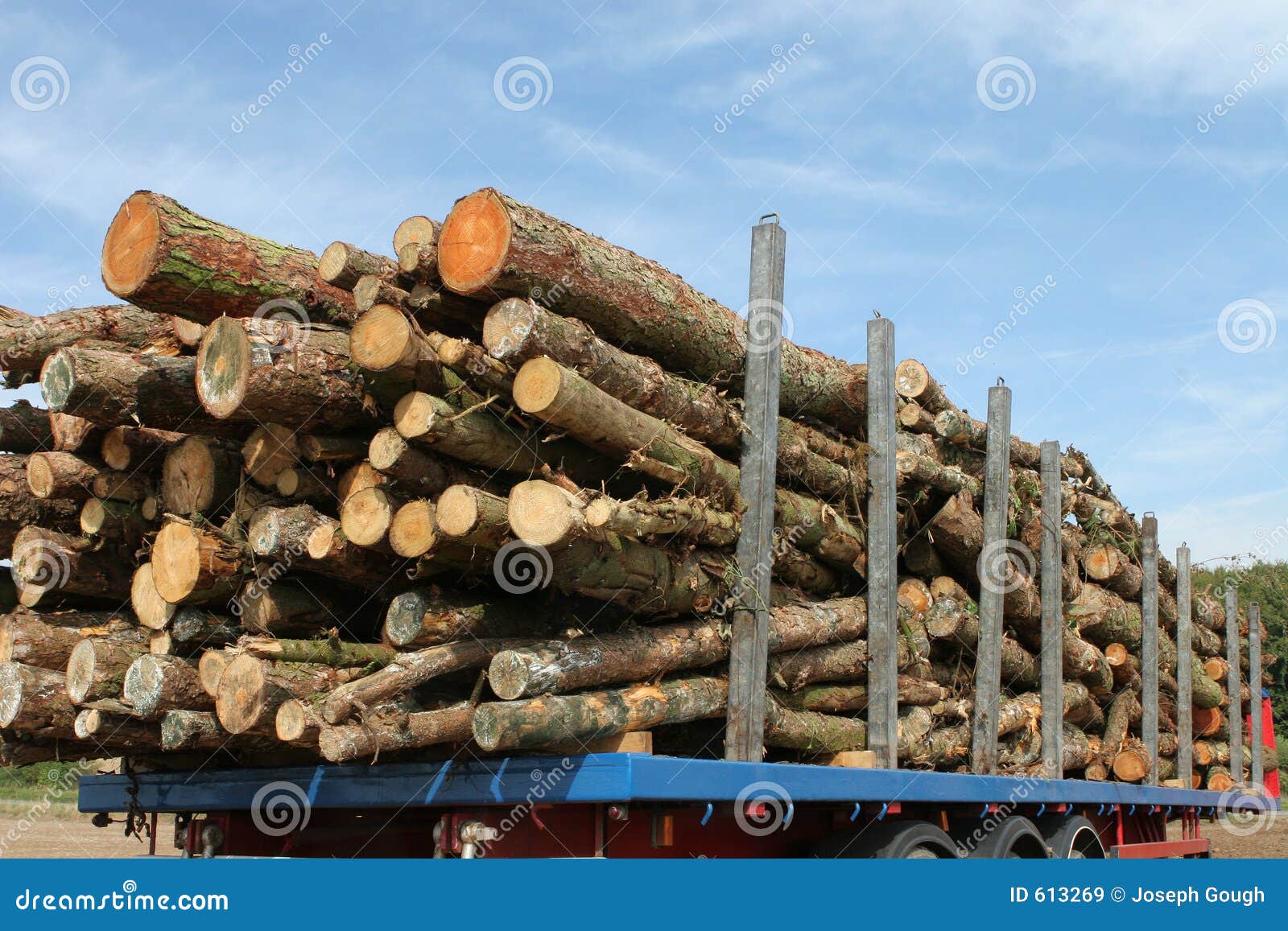 Pine Logs Logging Timber Trailer Stock Image - Image of transport ...