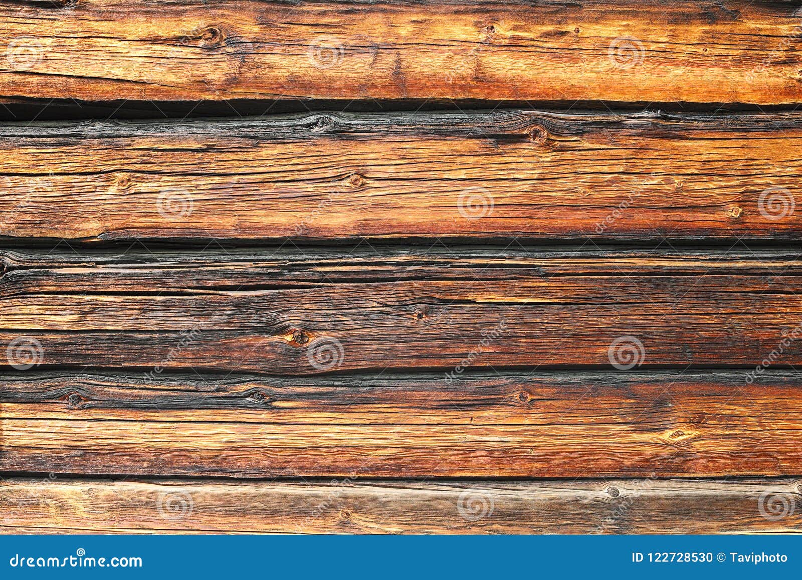 Pine logs wall texture stock photo. Image of detail - 122728530