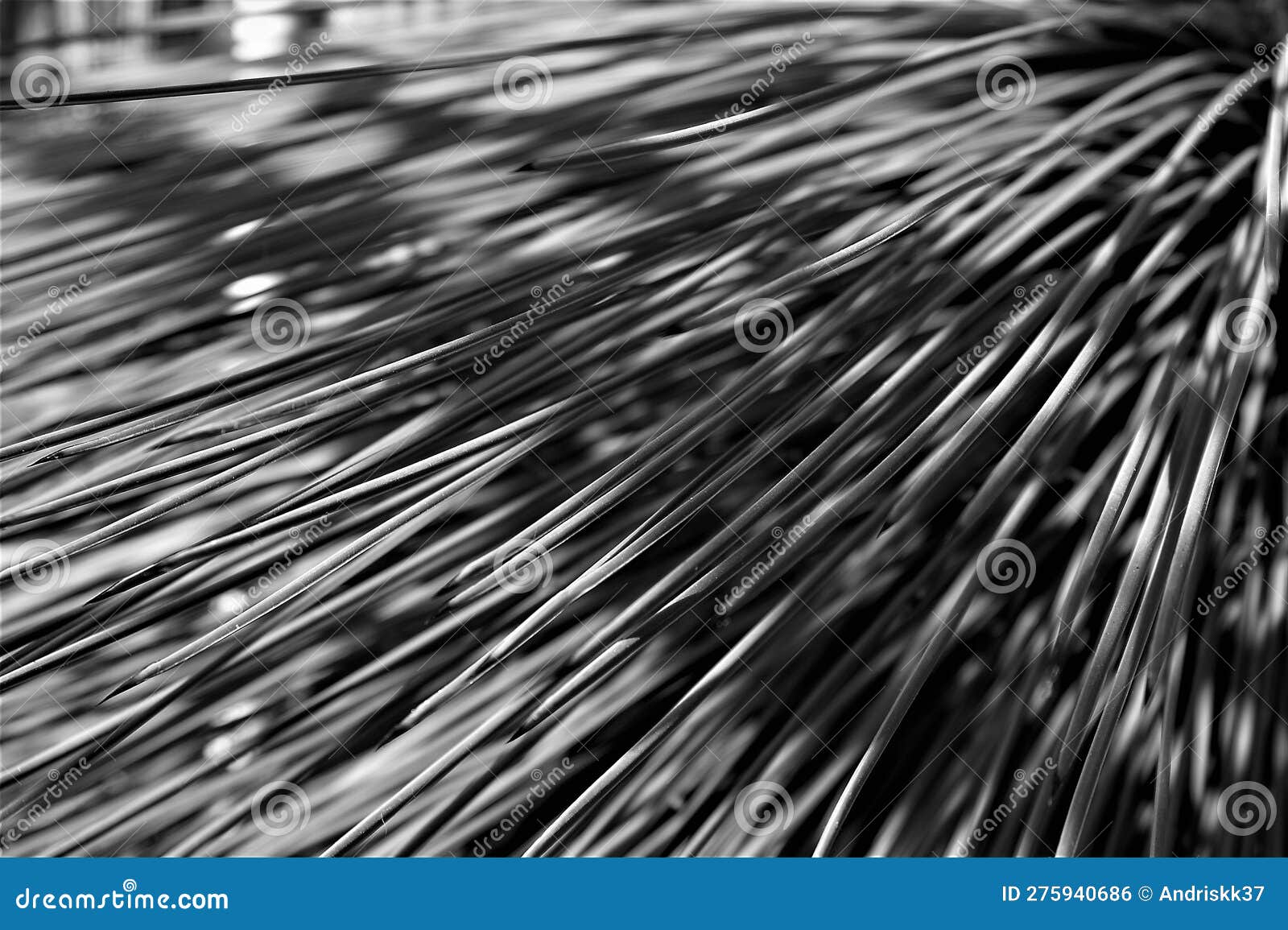 Pine needles stock photo. Image of closeup, flora, leaf - 275940686