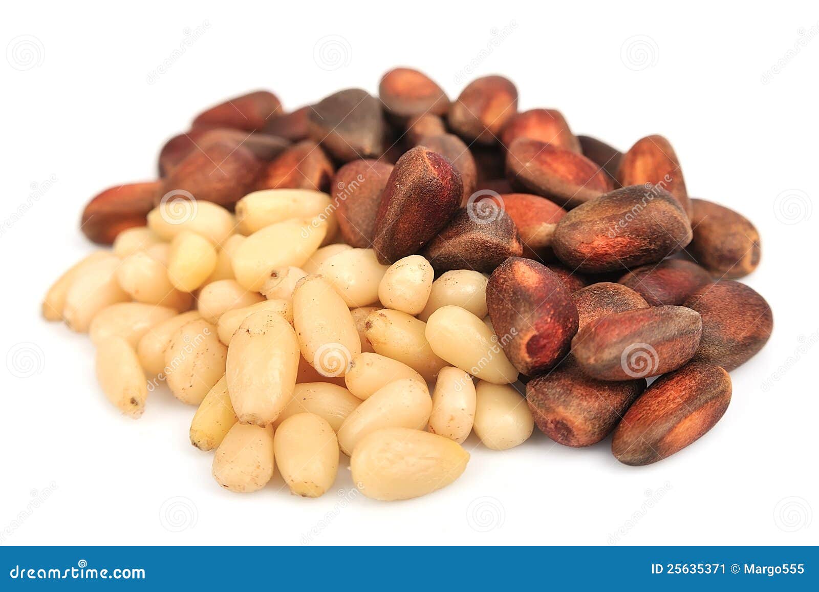 Pine nut stock image. Image of nature, isolated, evergreen - 25635371