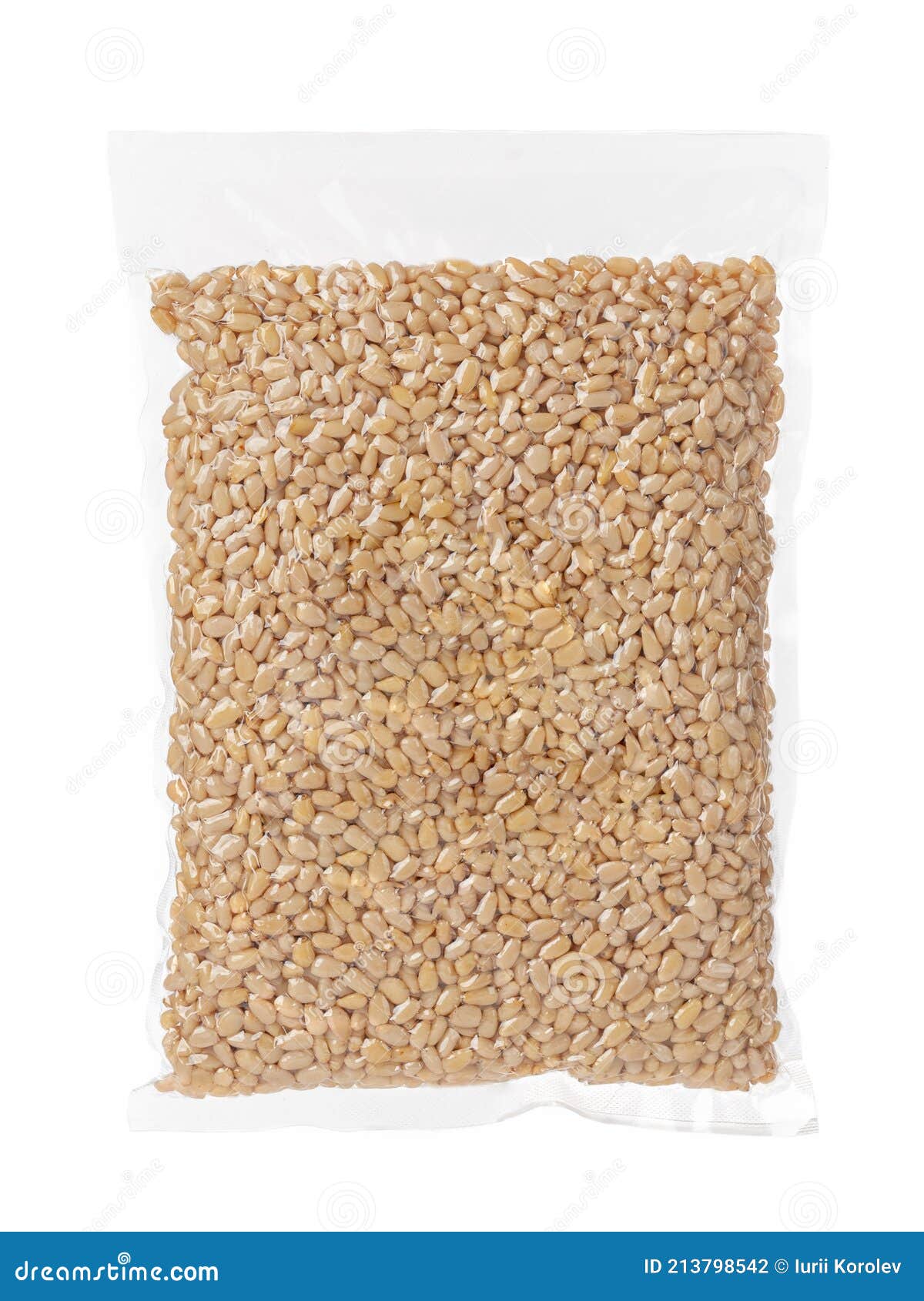 Pine Nut Kernel. Vacuum Cleaned. Isolated Stock Photo - Image of seed ...