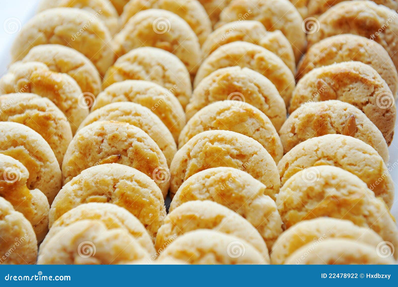 Pine nut macaroons stock photo. Image of gourmet, cookies - 22478922