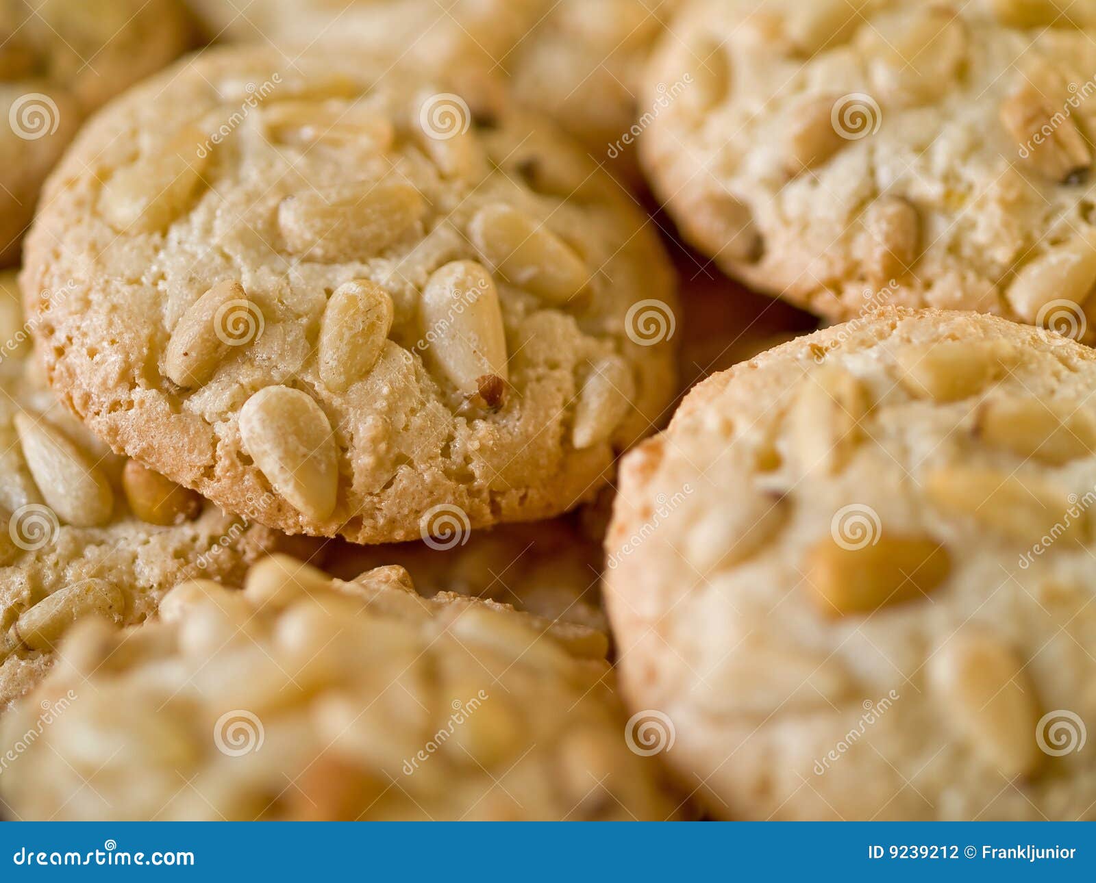 Pine Nut Macaroons stock photo. Image of decoration, pastry - 9239212