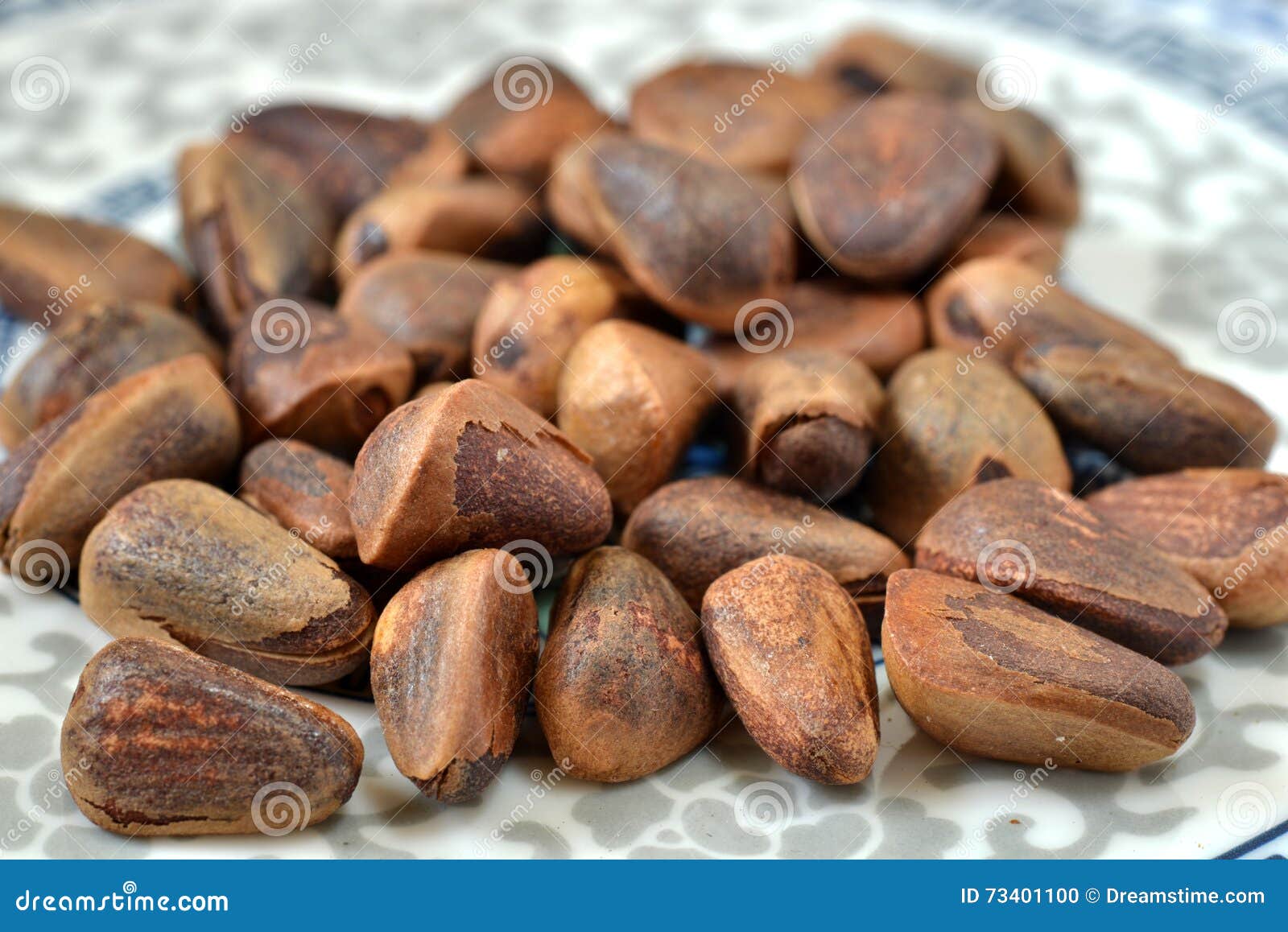 Pine nut Pinales stock photo. Image of dried, seeds, tower - 73401100