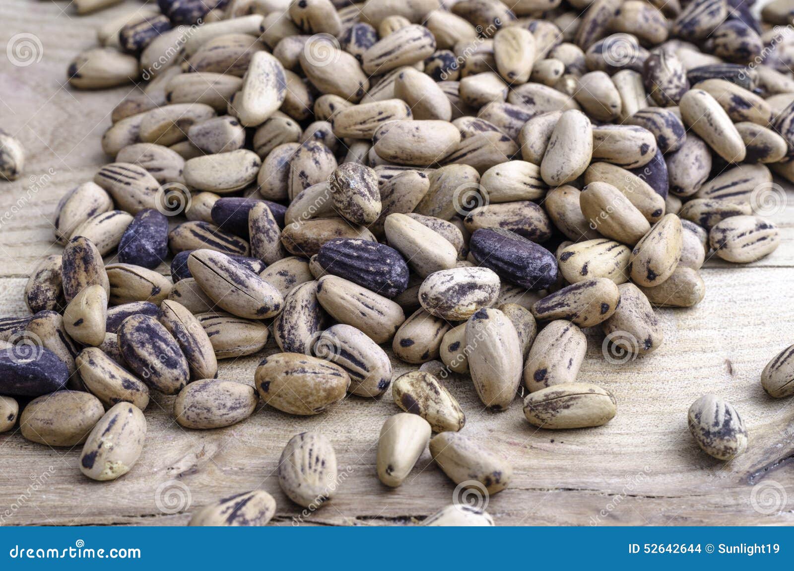 Pine Nut with Shell Over Wood. Stock Photo - Image of pile, vitamin ...