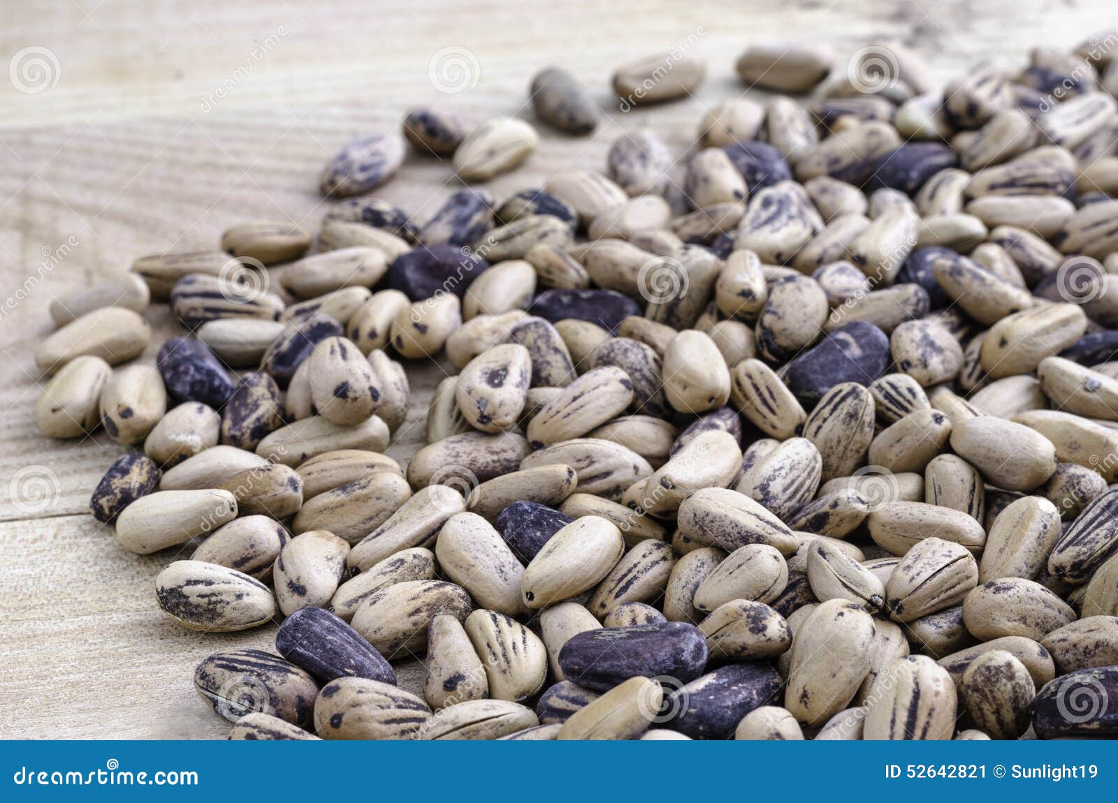 Pine Nut with Shell Over Wood. Stock Image - Image of small, pinecone ...