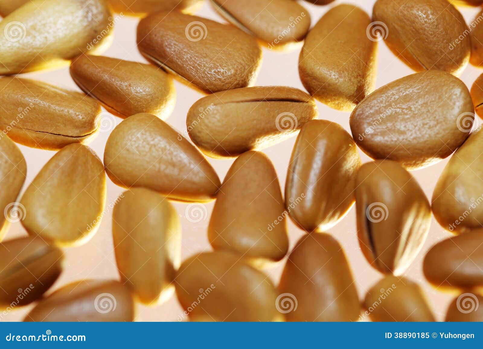 Pine nut stock image. Image of vertical, yellow, composition - 38890185