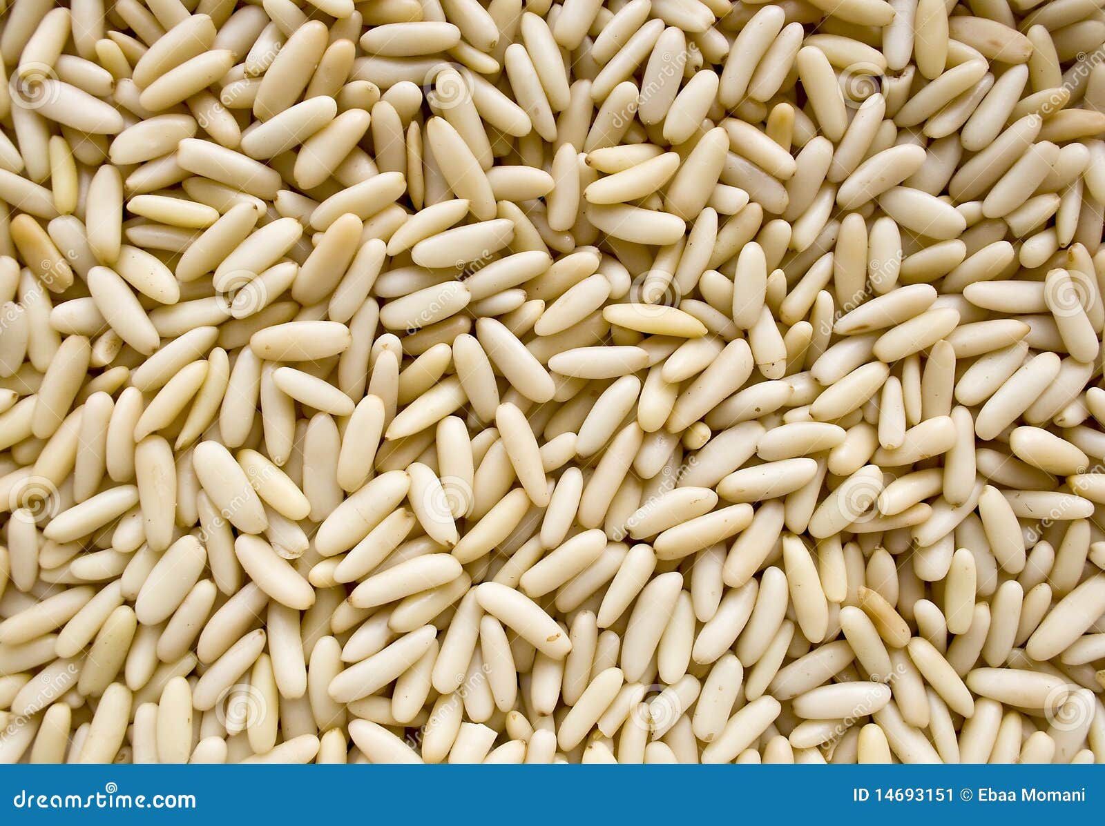 Pine nuts stock image. Image of background, seed, pinon - 14693151