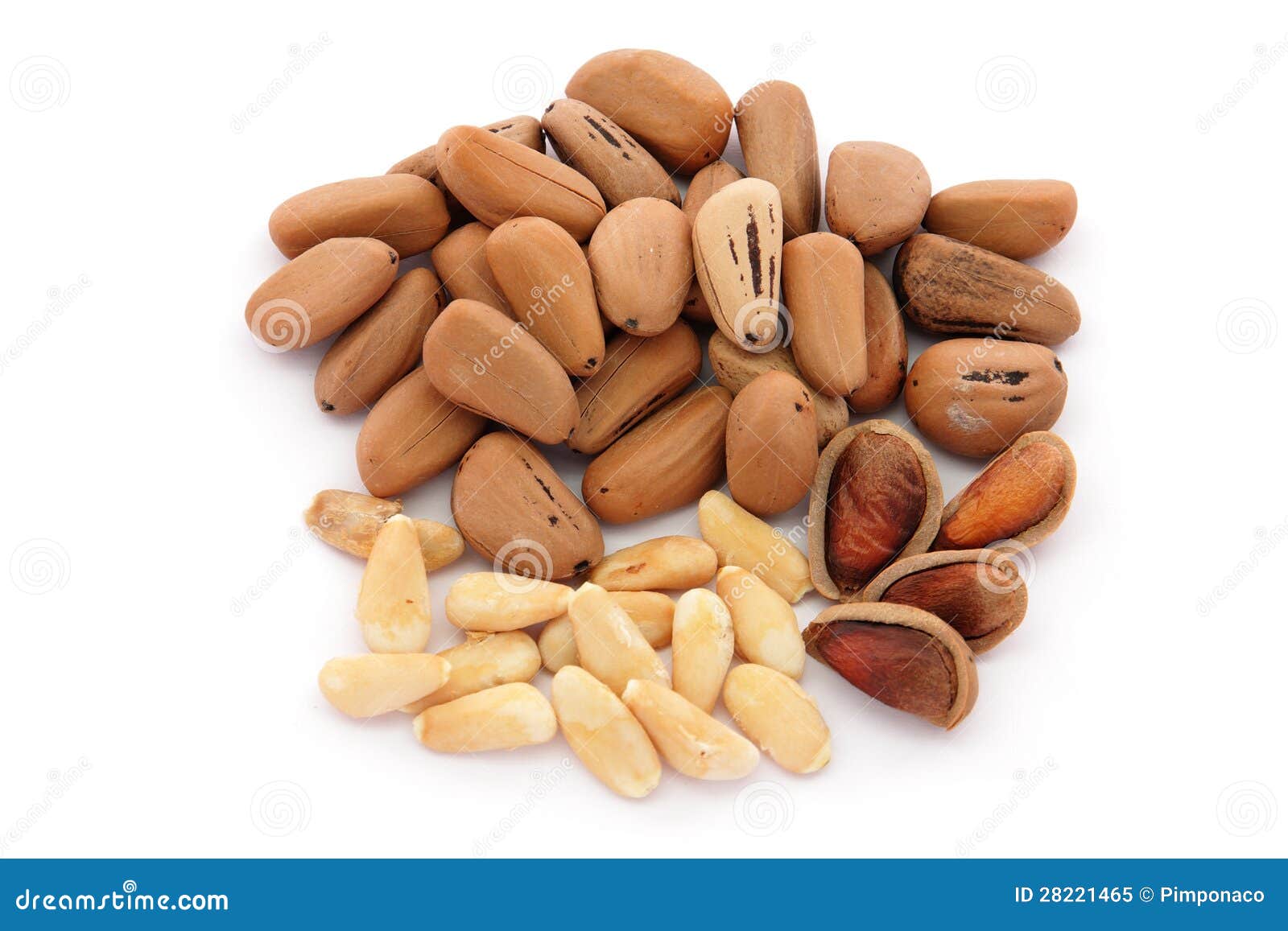 Pine nuts stock image. Image of coniferous, life, plant - 28221465