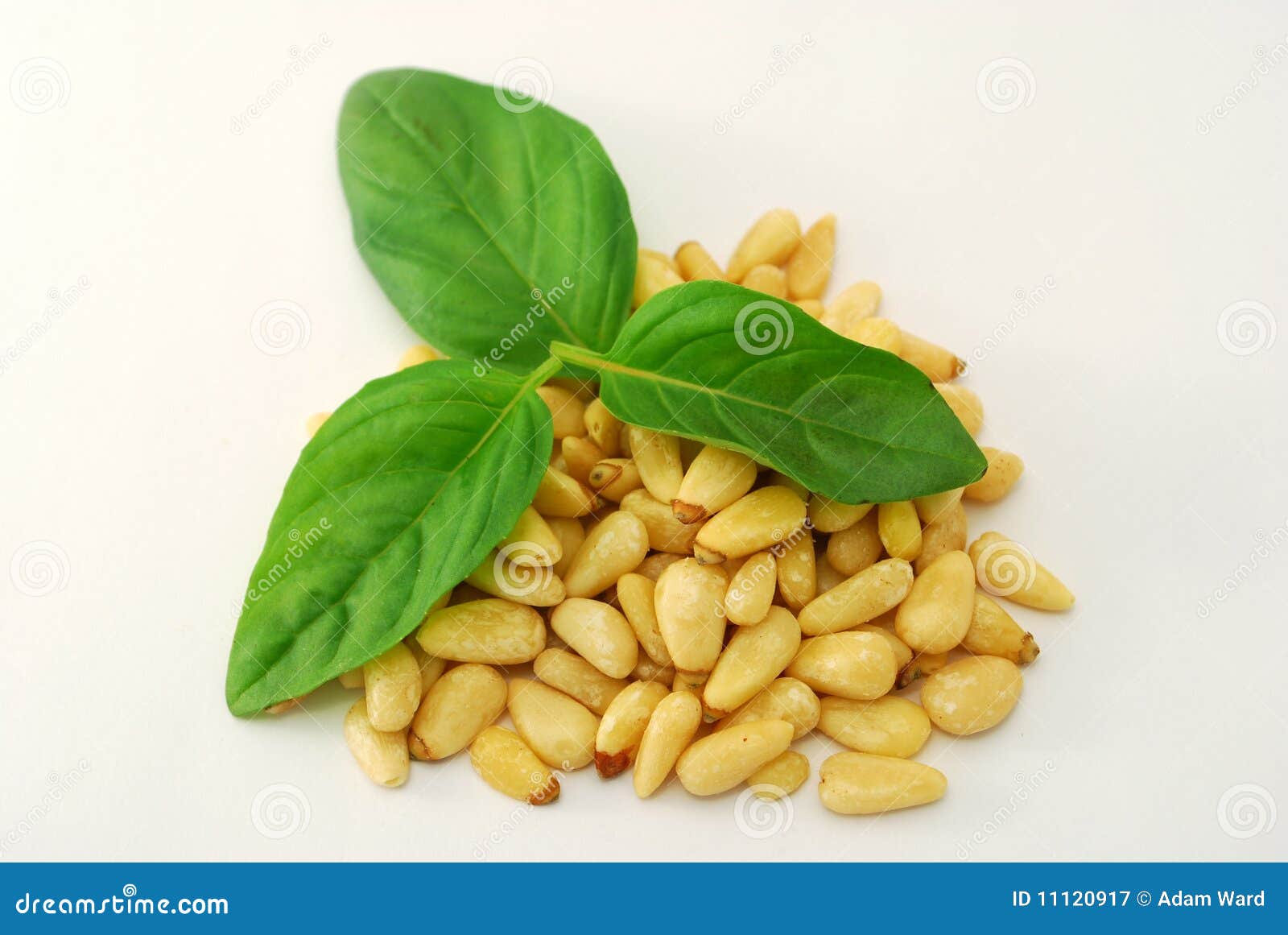 Pine Nuts Pignoli Pinus Seeds, Top View, Paths Royalty-Free Stock Photo ...