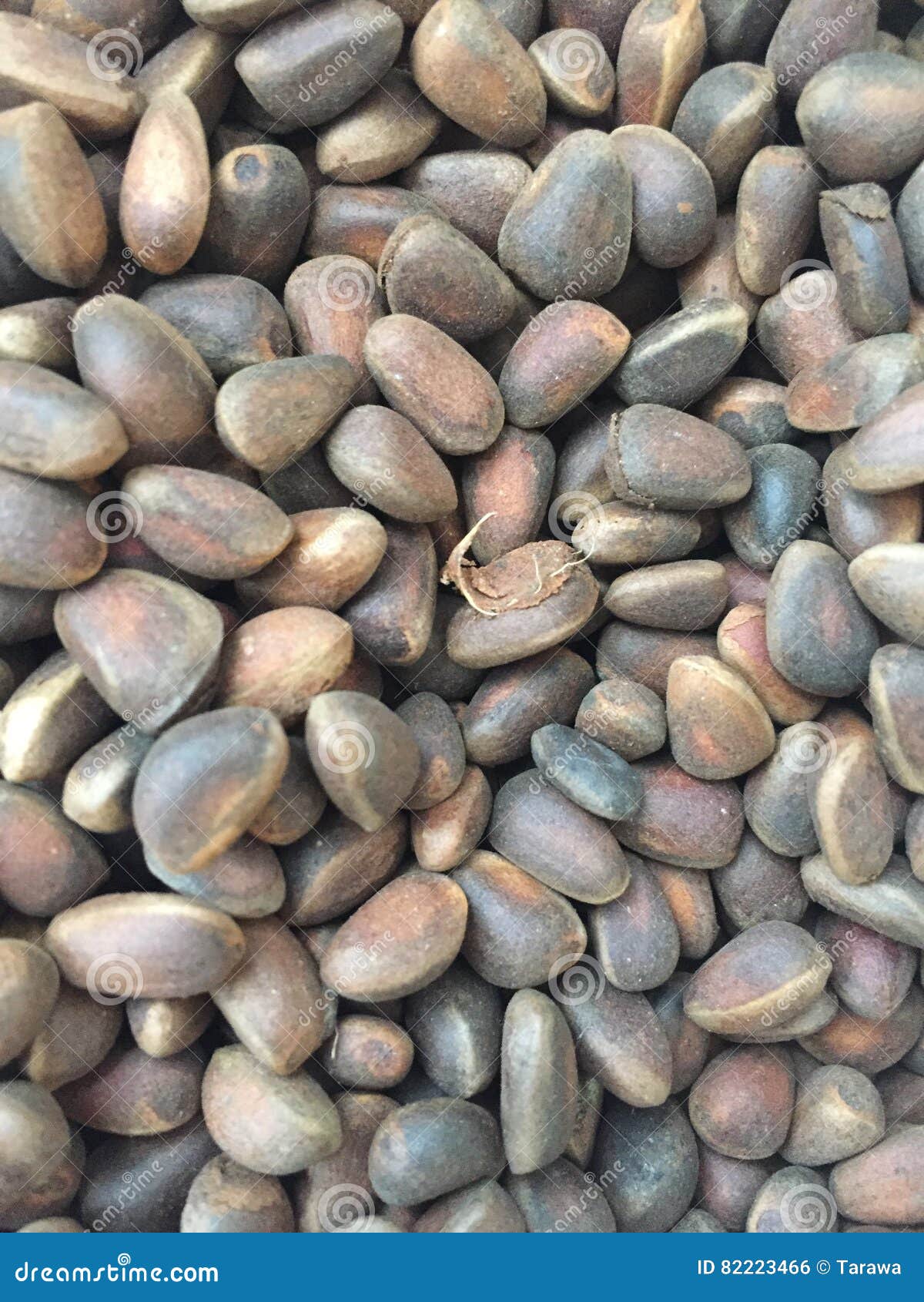 Pine nuts stock photo. Image of bunch, food, meal, pine - 82223466