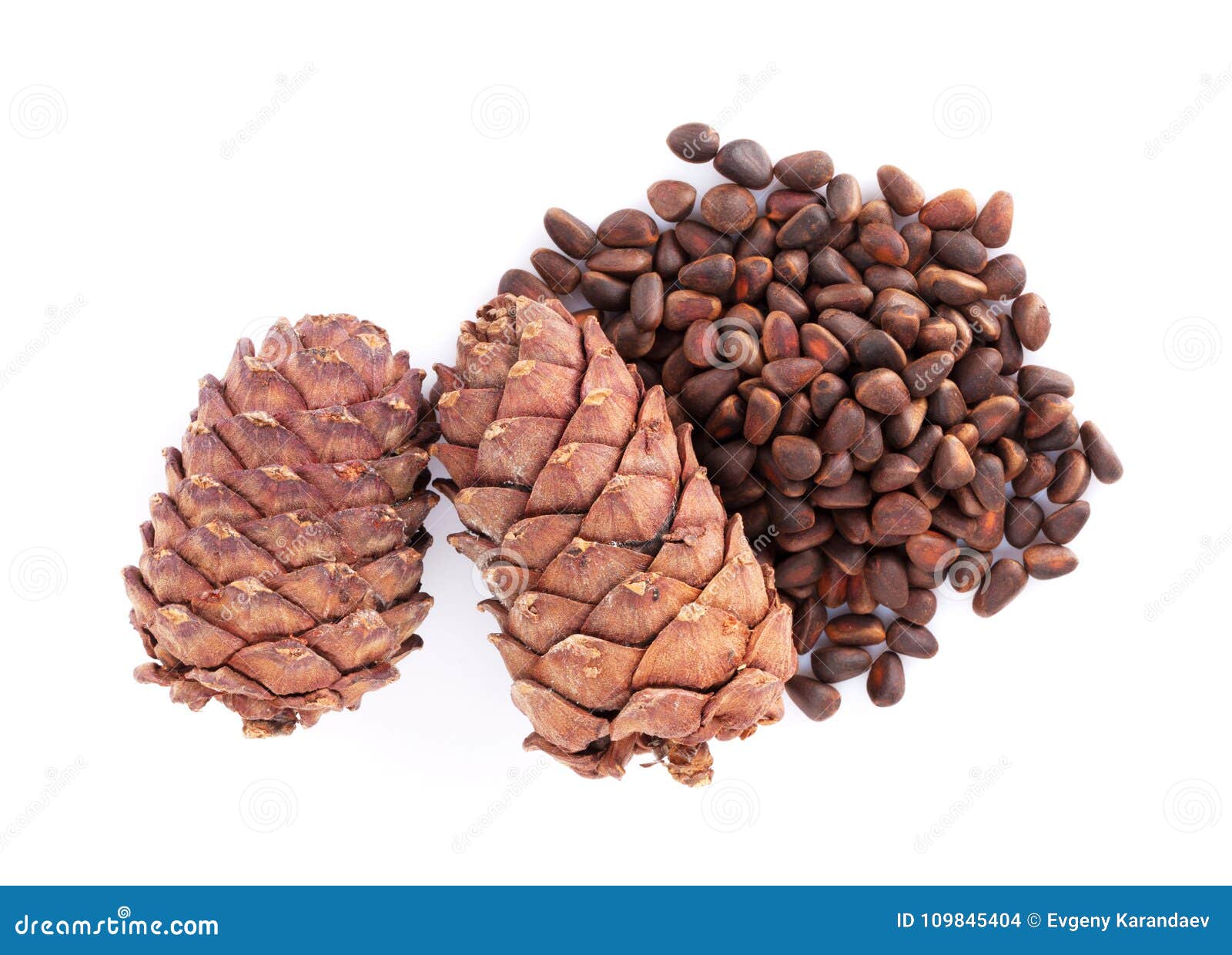 Pine nuts stock photo. Image of seed, healthy, cone - 109845404