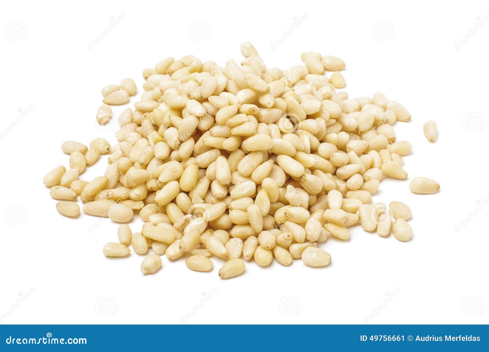 Pine Nuts Isolated on the White Background with Clipping Path Stock ...
