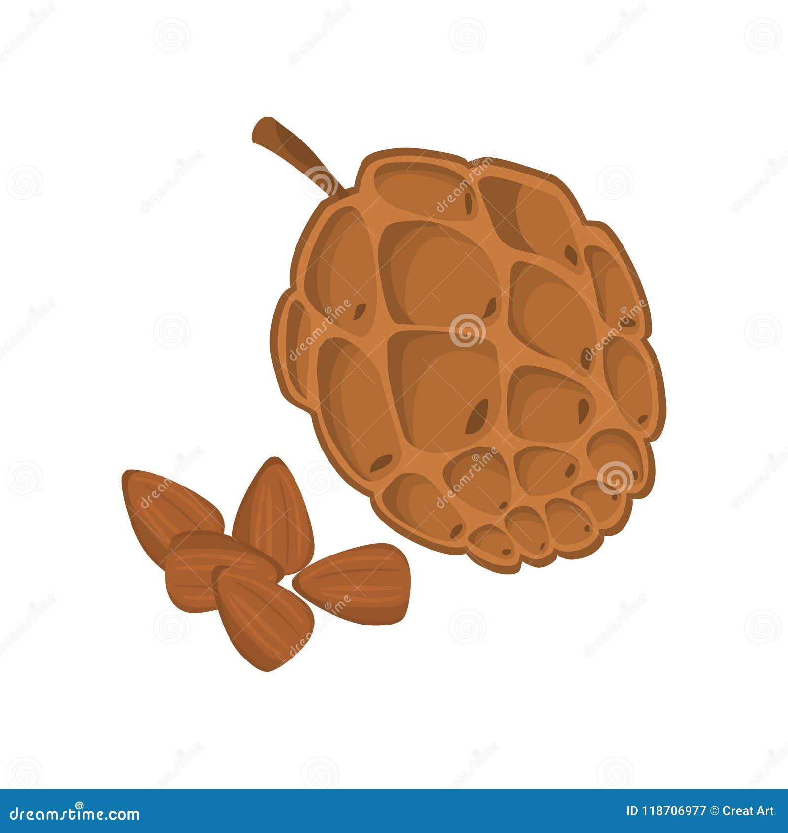 Pine Nuts.Vector Illustration Of Pine Nuts Stock Vector - Illustration ...