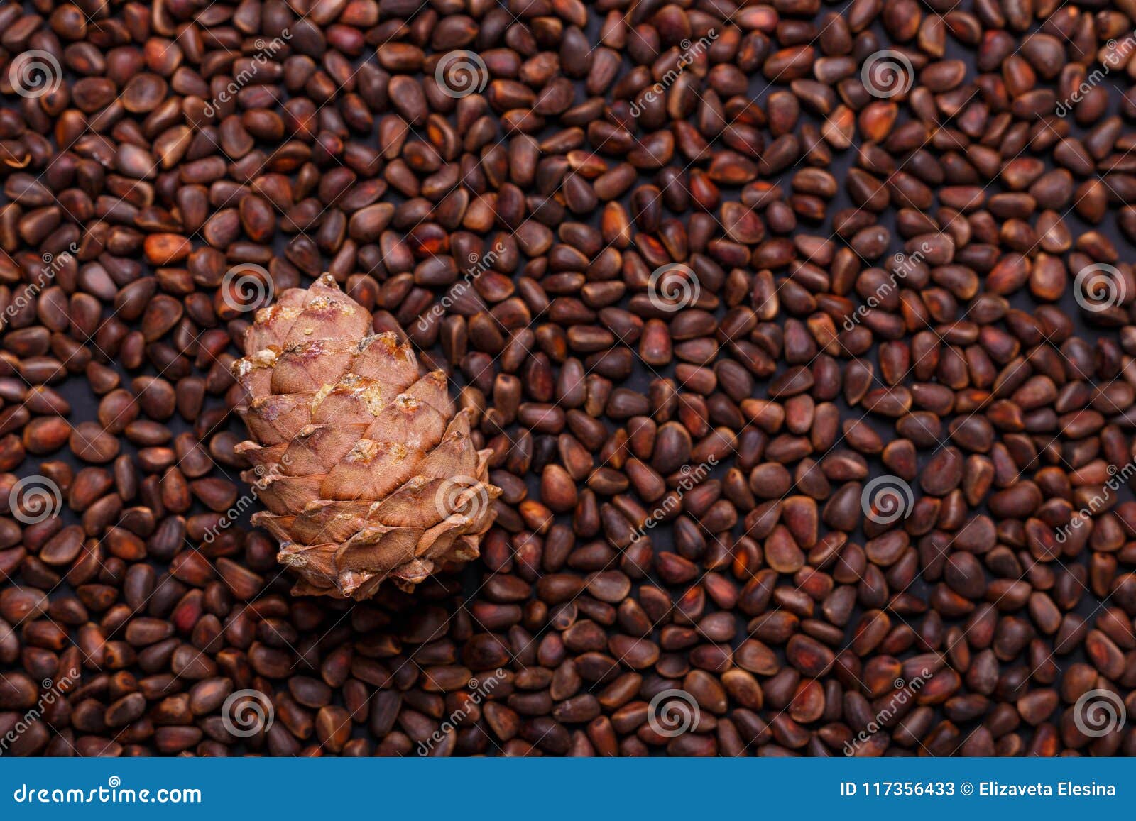 Pine Nuts in Shells As a Background Hole Cedar Cone Copy Space Top View ...