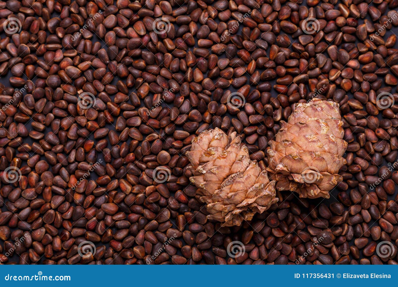 Pine Nuts in Shells As a Background Two Hole Cedar Cones Copy Space Top ...