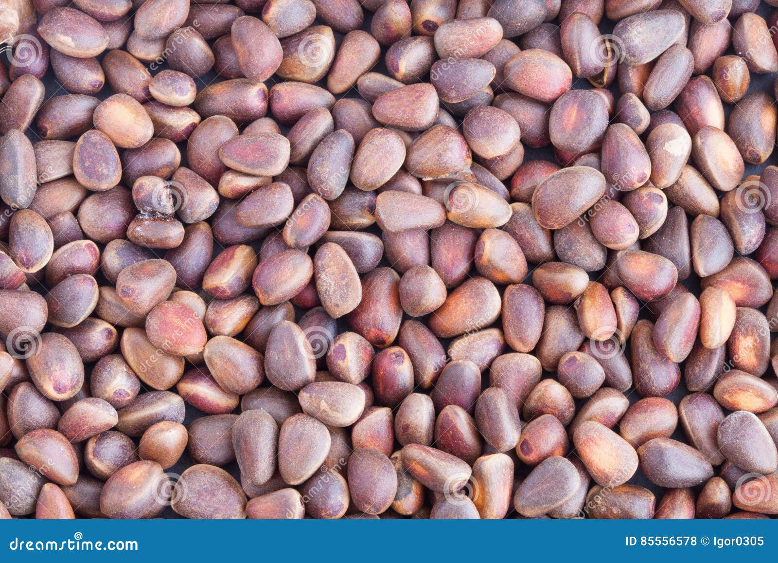 Pine Nuts in Shells. Background Stock Photo - Image of botany, crop ...
