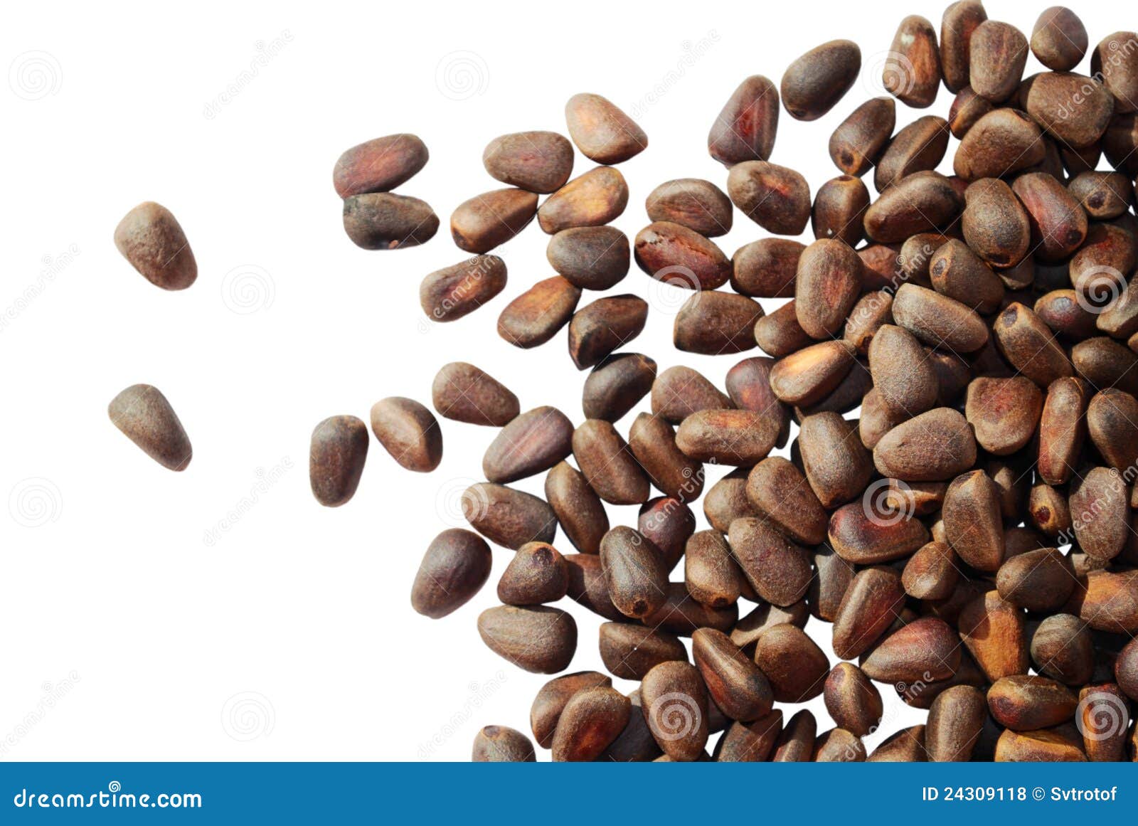 Pine nuts on white stock photo. Image of natural, meal - 24309118