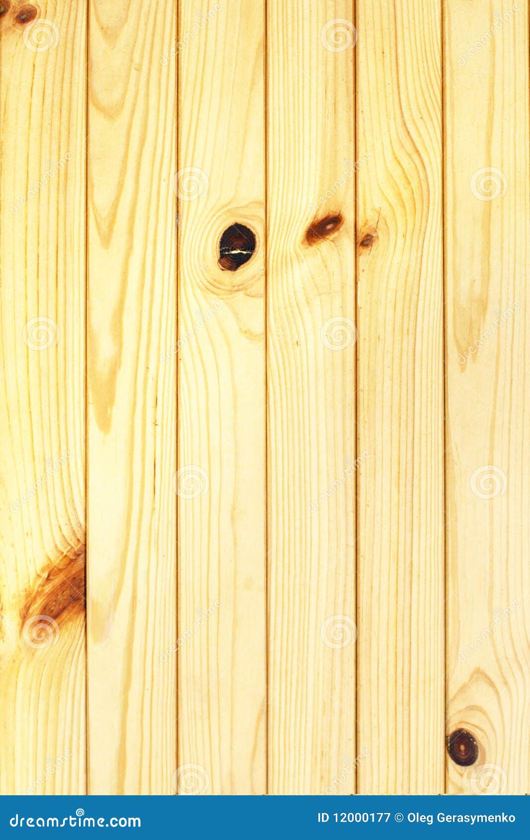 Pine panels texture stock image. Image of panel, pine - 12000177