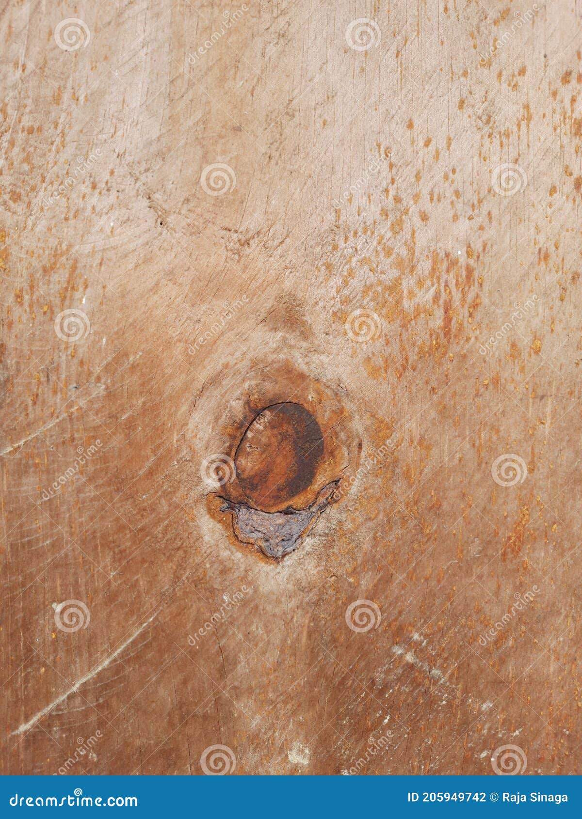 Pine plank knots stock photo. Image of plaster, pine - 205949742