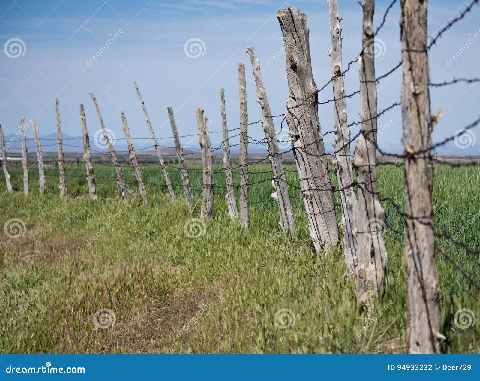 2,292 Pole Fence Line Stock Photos - Free & Royalty-Free Stock Photos ...