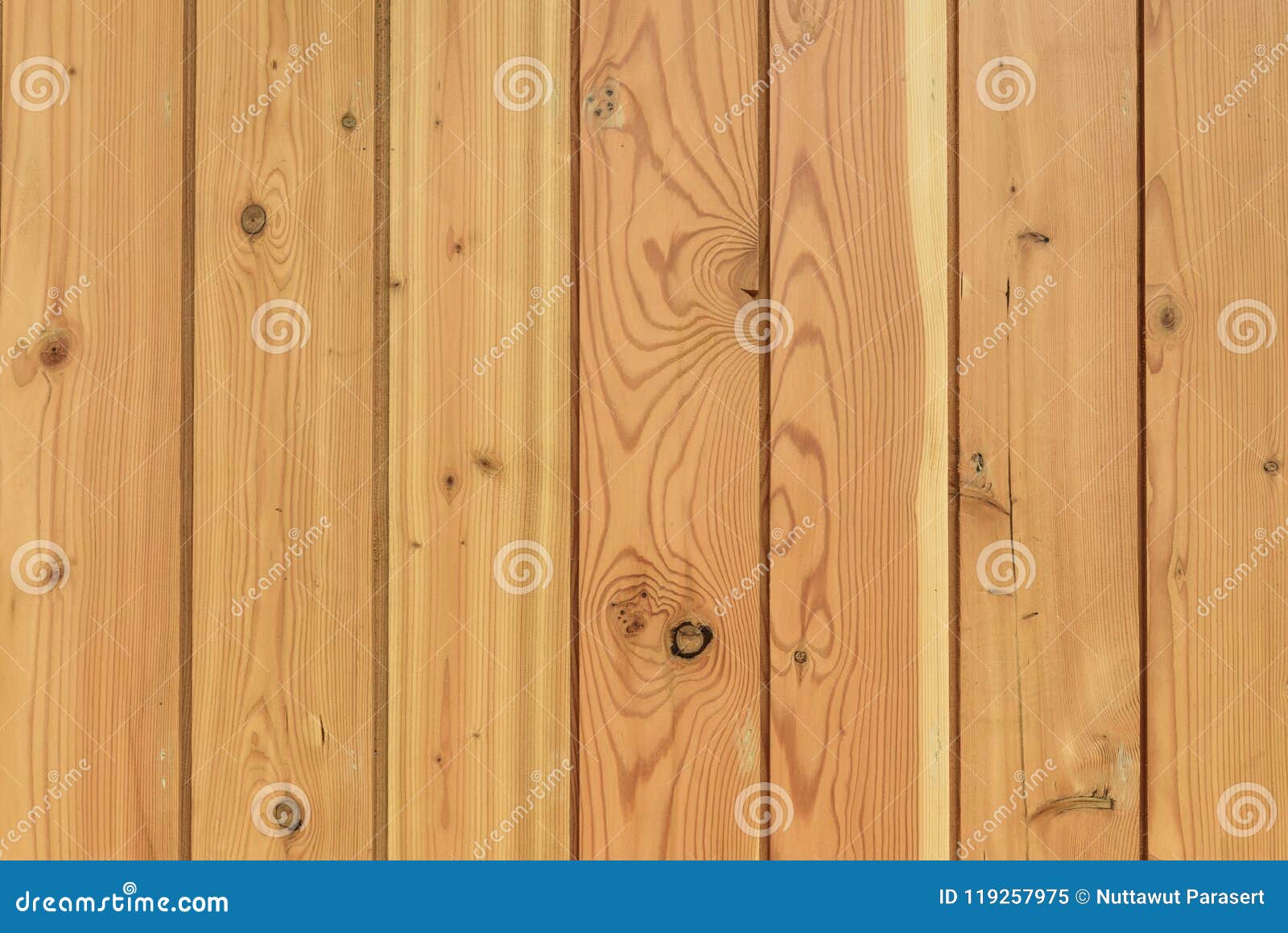The Pine Polished Wood Wall Surface, Texture and Background Stock Image ...