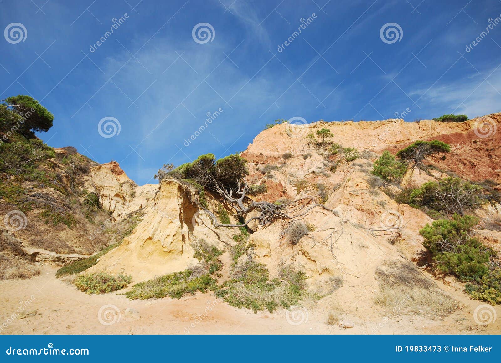 Pine and Red Cliffs(Algarve,Portugal) Stock Image - Image of clear ...