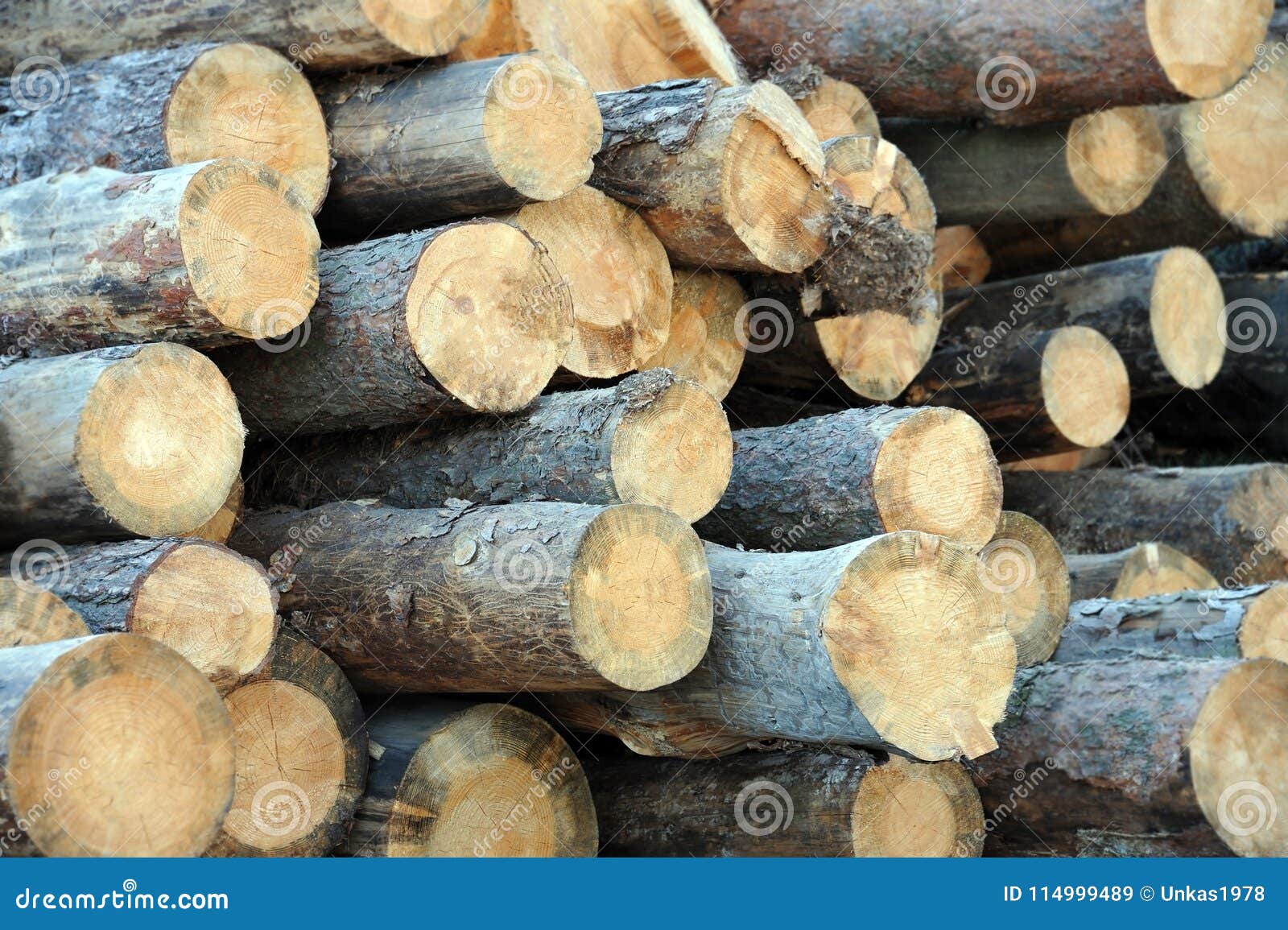 Pine round timber stock image. Image of construction - 114999489