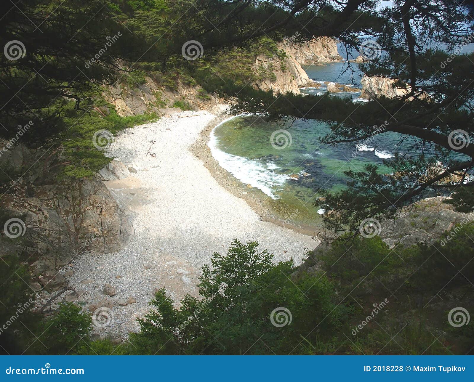 Pine sea cove stock photo. Image of meadow, forest, paradise - 2018228